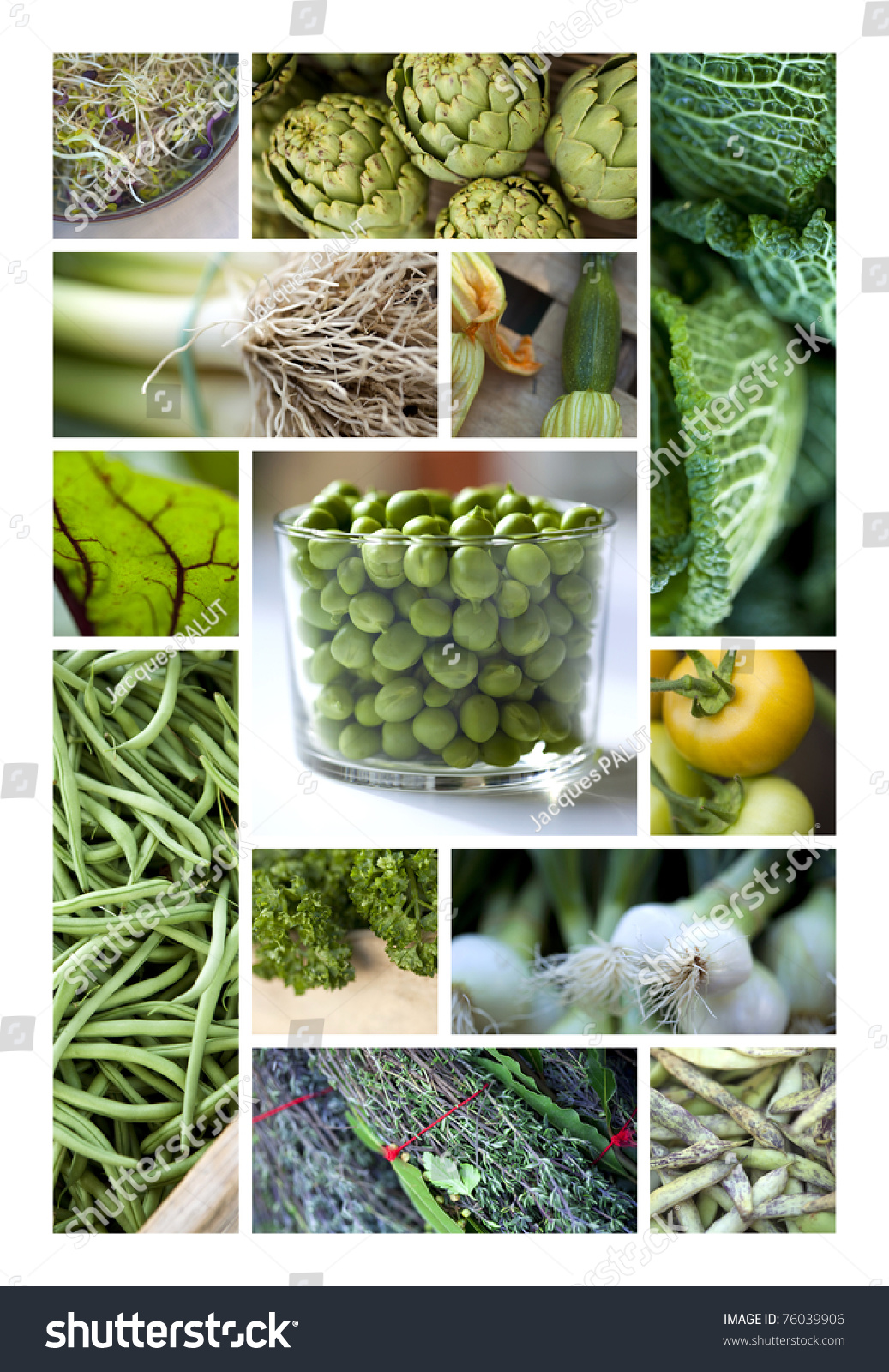 Vegetable Collage Stock Photo 76039906 | Shutterstock