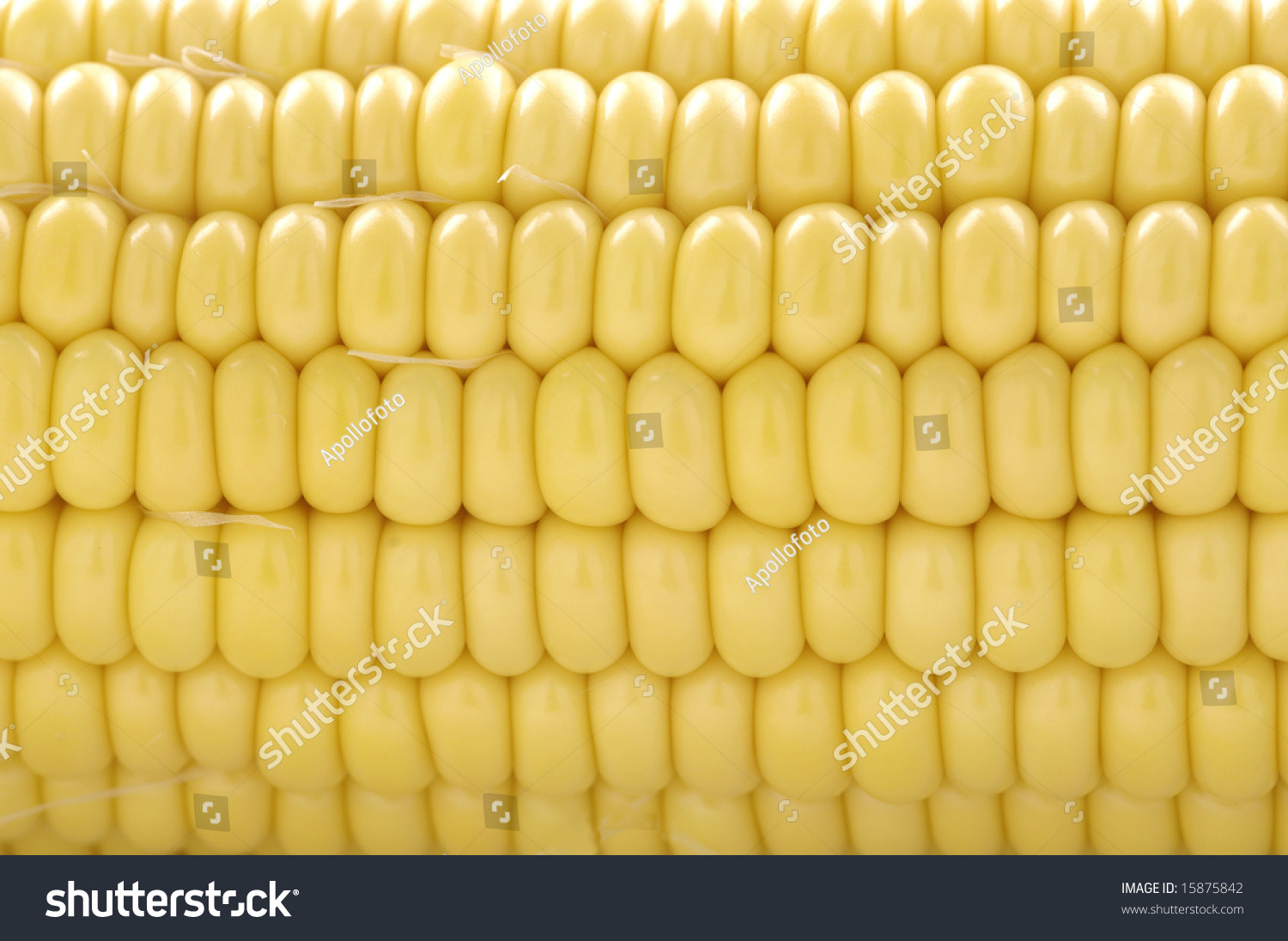 Vegetable Texture Stock Photo 15875842 : Shutterstock