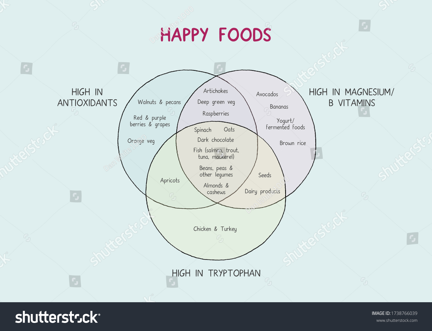 Venn Diagram Examples Foods That Believed: ilustrações stock 1738766039 ...
