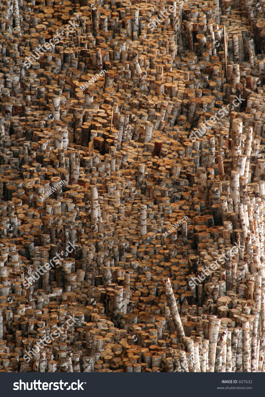 Vertical Timber Stock Photo 607632 | Shutterstock