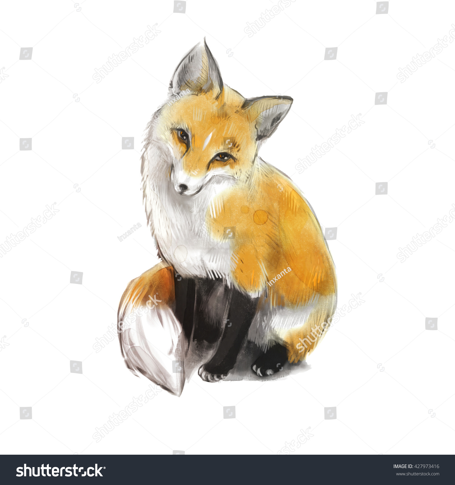Very Nice Cute Fox Fox Sitting Stock Illustration 427973416 Shutterstock