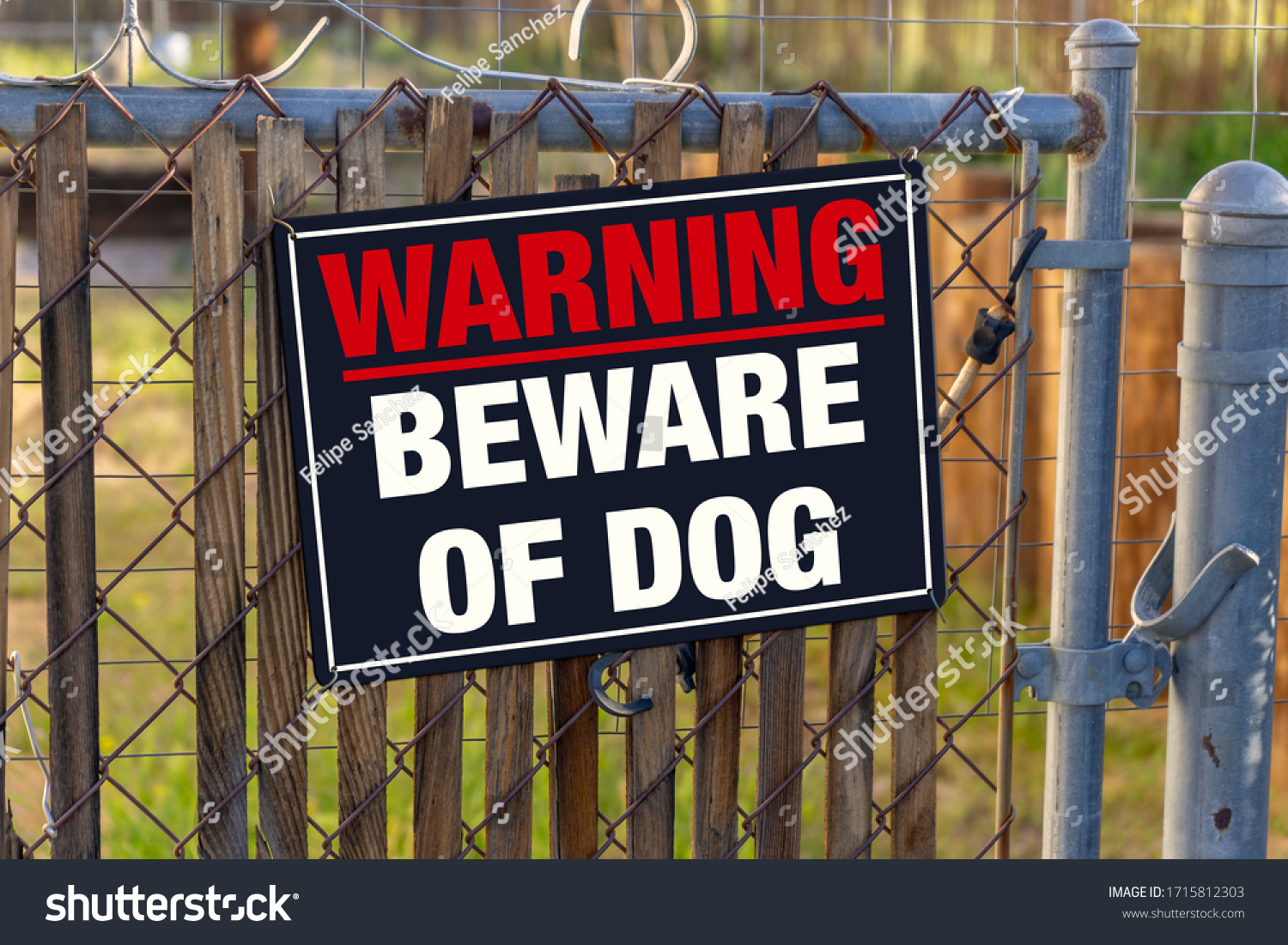 Warning Beware Dog Sign On Chain Stock Photo (Edit Now) 1715812303 Warning Beware Dog Sign On Chain Stock Photo (Edit Now) 1715812303