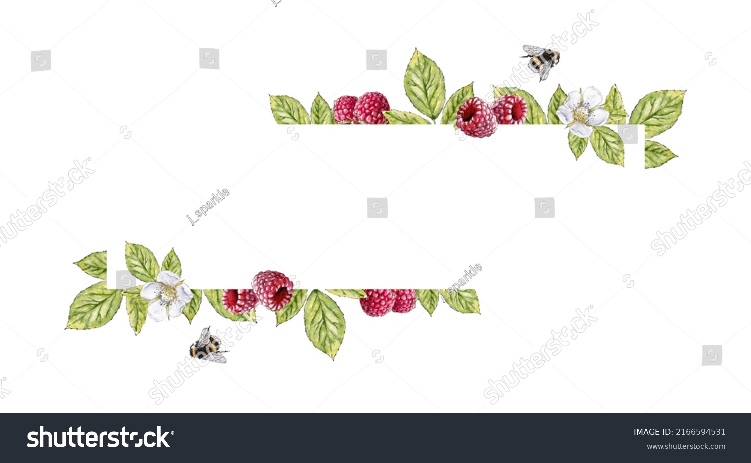 Watercolor Banner Leaves Raspberry Flowers Bumblebees Stock ... Watercolor Banner Leaves Raspberry Flowers Bumblebees Stock ...