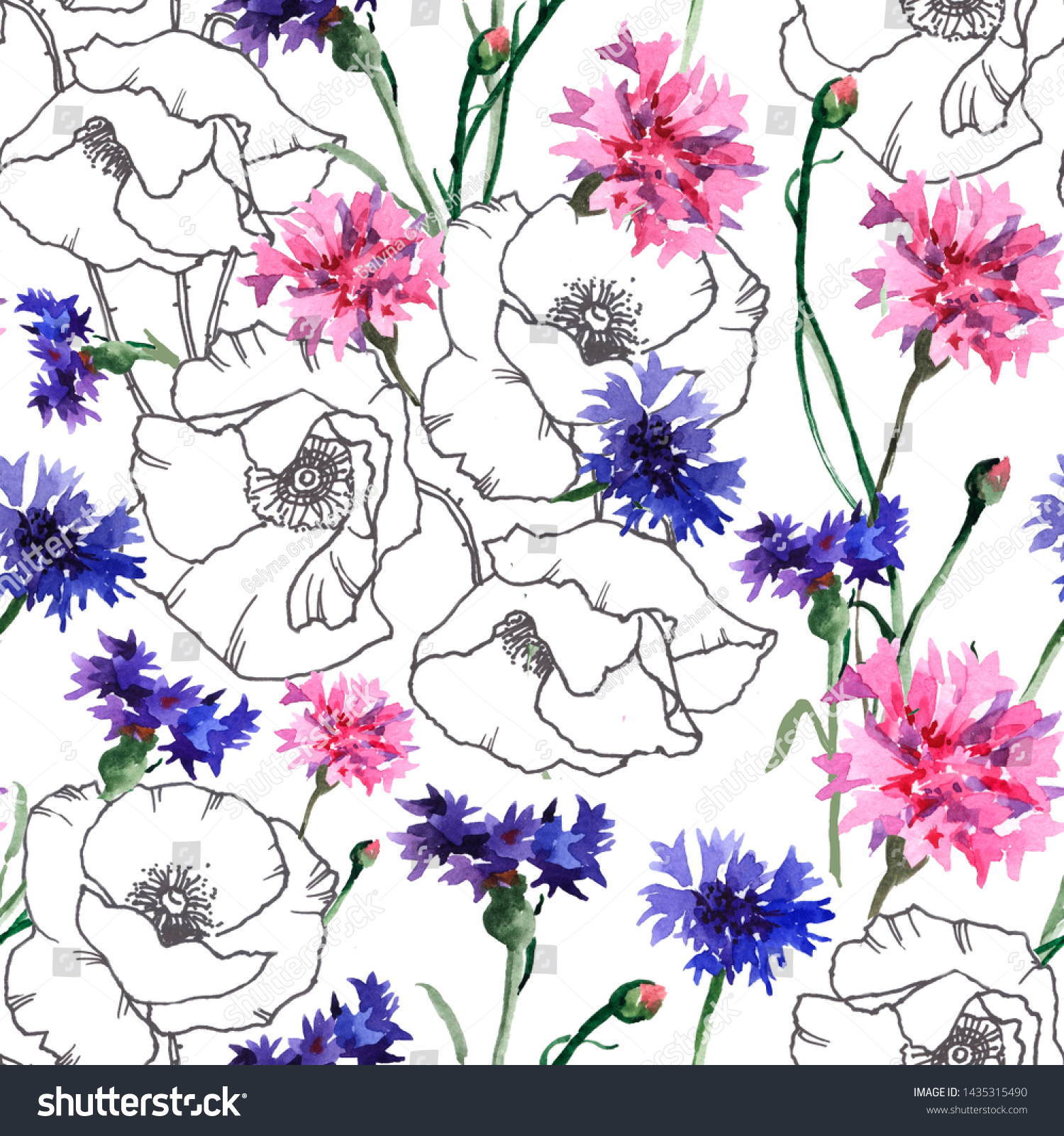 Watercolor Cornflowers Graphics Poppies On White Stock Illustration ...