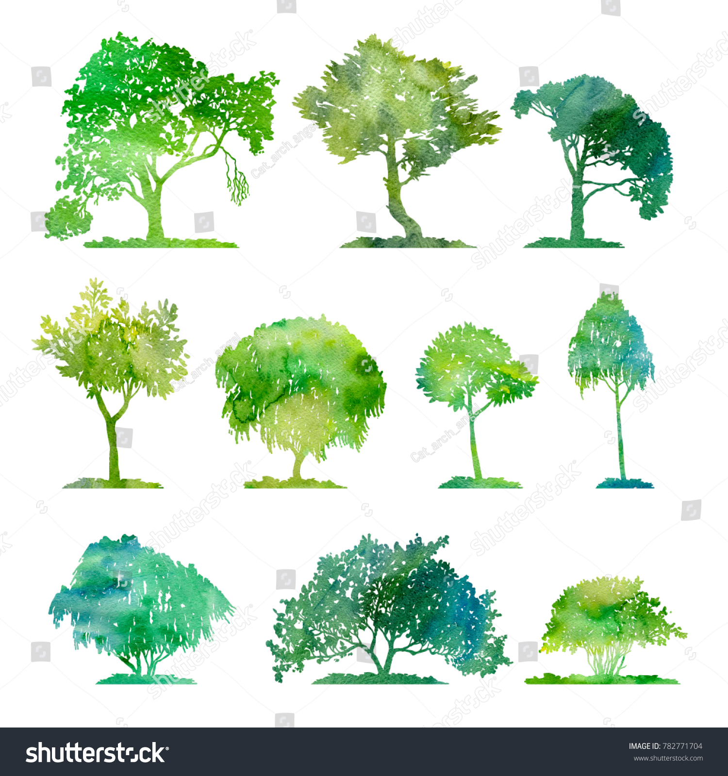 Watercolor Set Deciduous Trees Hand Drawn Stock Illustration 782771704 Watercolor Set Deciduous Trees Hand Drawn Stock Illustration 782771704