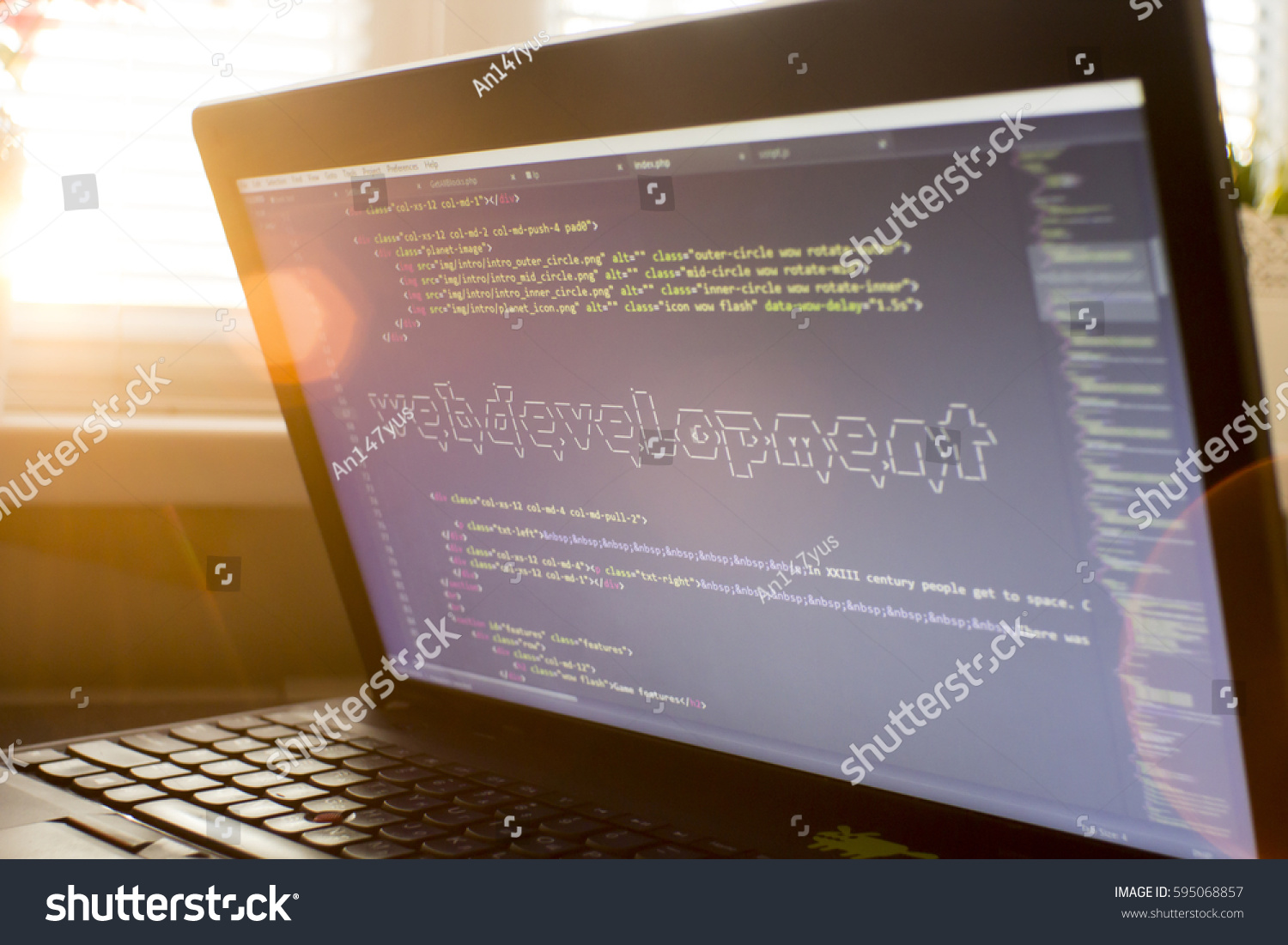 Web Development Phrase Ascii Art Inside Stock Photo 595068857 ...