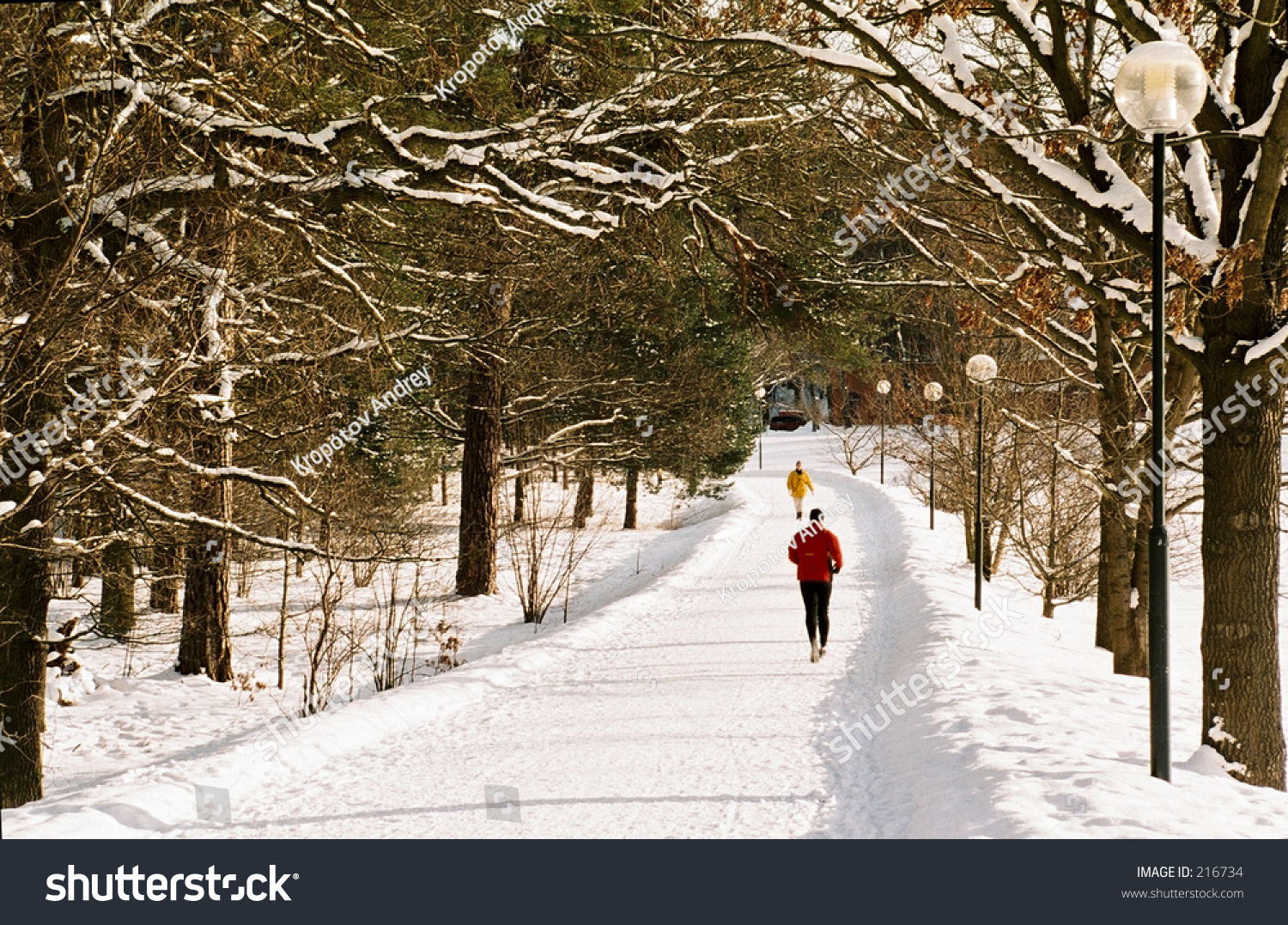 Winter Path Stock Photo 216734 - Shutterstock
