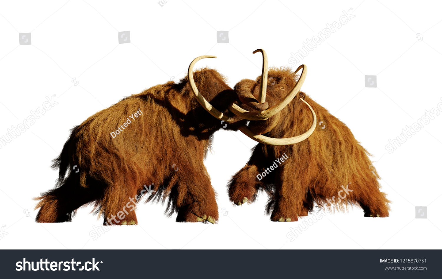 Woolly Mammoth Bulls Fighting Prehistoric Ice Stock Illustration 1215870751 Woolly Mammoth Bulls Fighting Prehistoric Ice Stock Illustration 1215870751