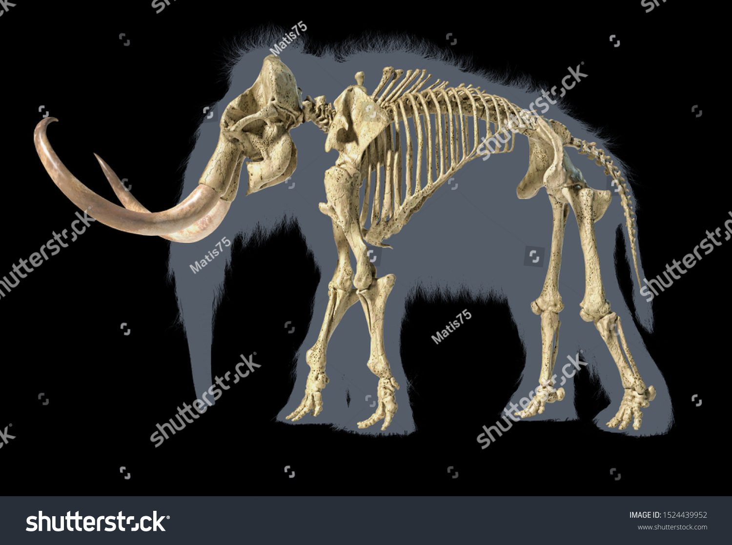 Woolly Mammoth Skeleton Realistic 3d Illustration Stock Illustration ... Woolly Mammoth Skeleton Realistic 3d Illustration Stock Illustration ...