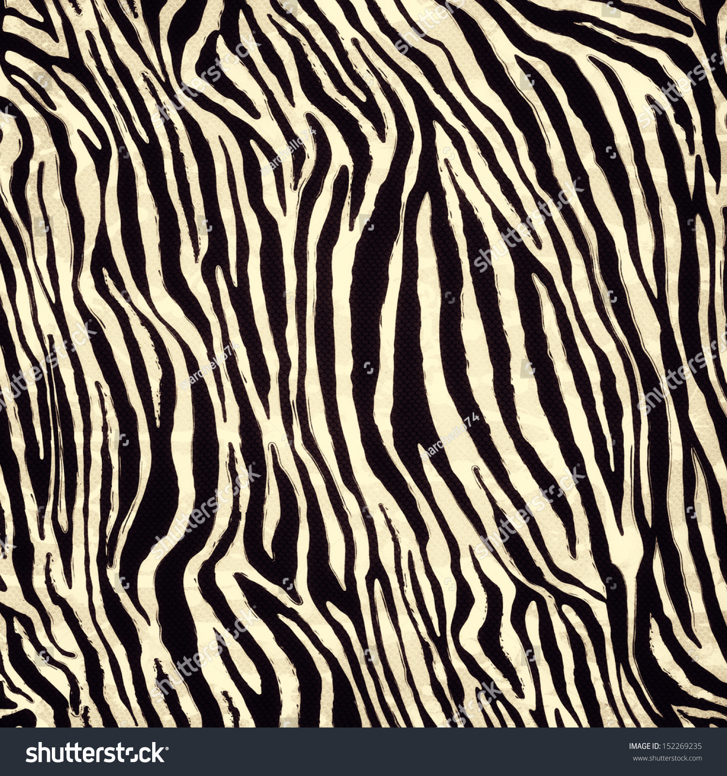 Zebra Pattern Stock Illustration 152269235 - Shutterstock