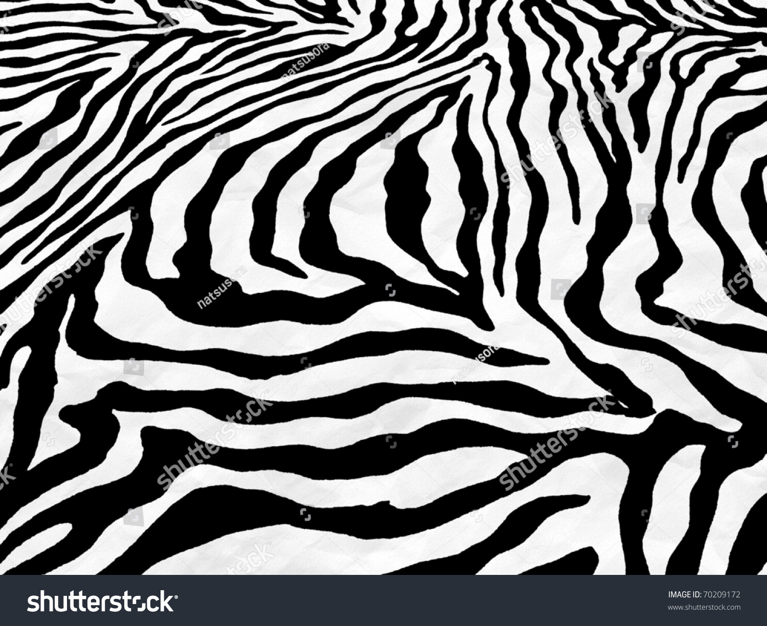 Zebra Pattern Stock Photo 70209172 : Shutterstock