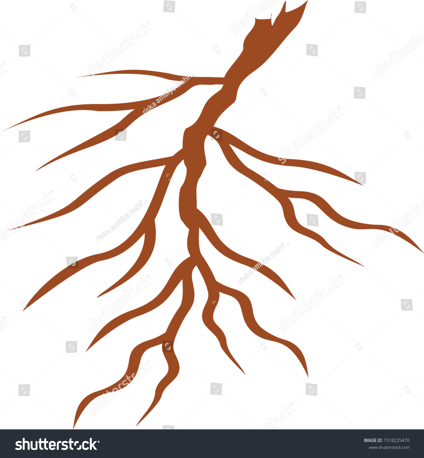Example Taproot Vector Design: เวกเตอร์สต็อก (ปลอดค่าลิขสิทธิ์ ...