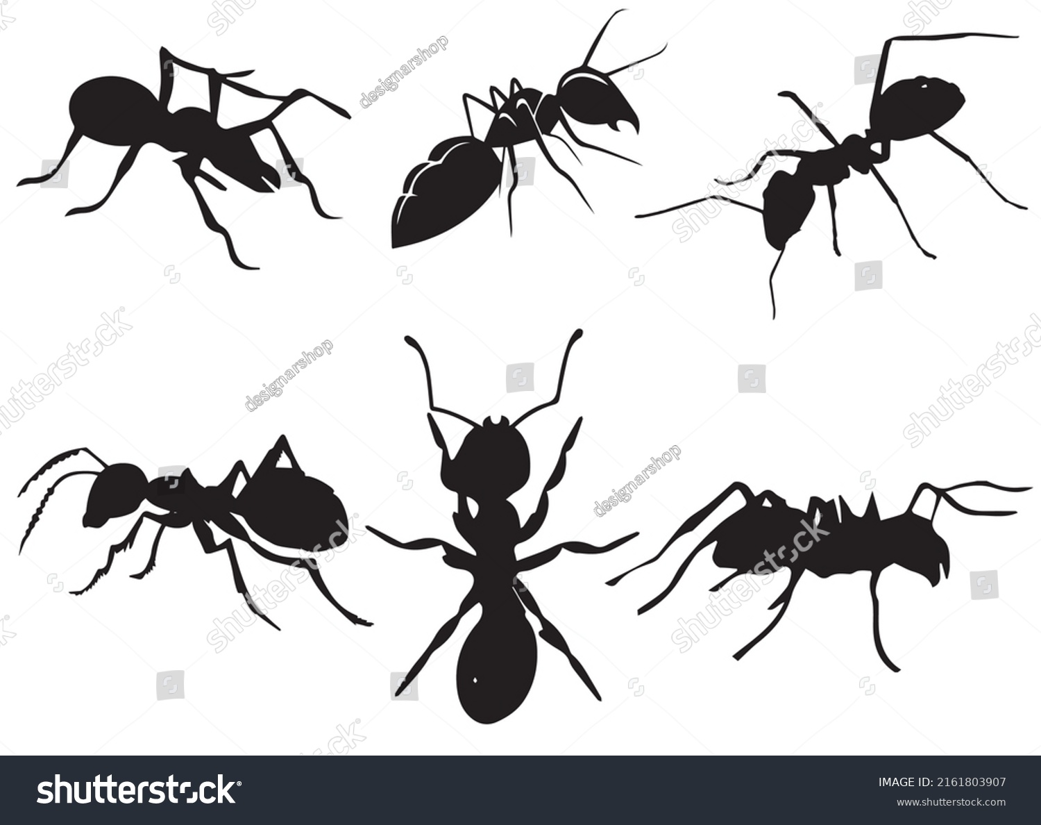 Ant Vector Image Ant Illustration Vector Stock Vector (Royalty Free ...