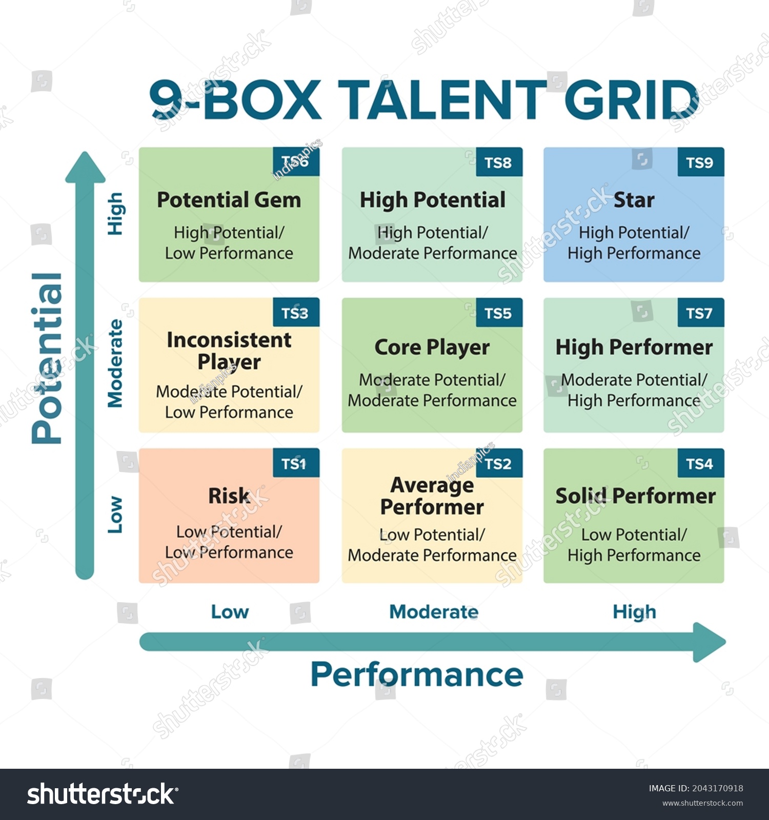 117 Talent grid set Bilder, Stockfotos und Vektorgrafiken | Shutterstock