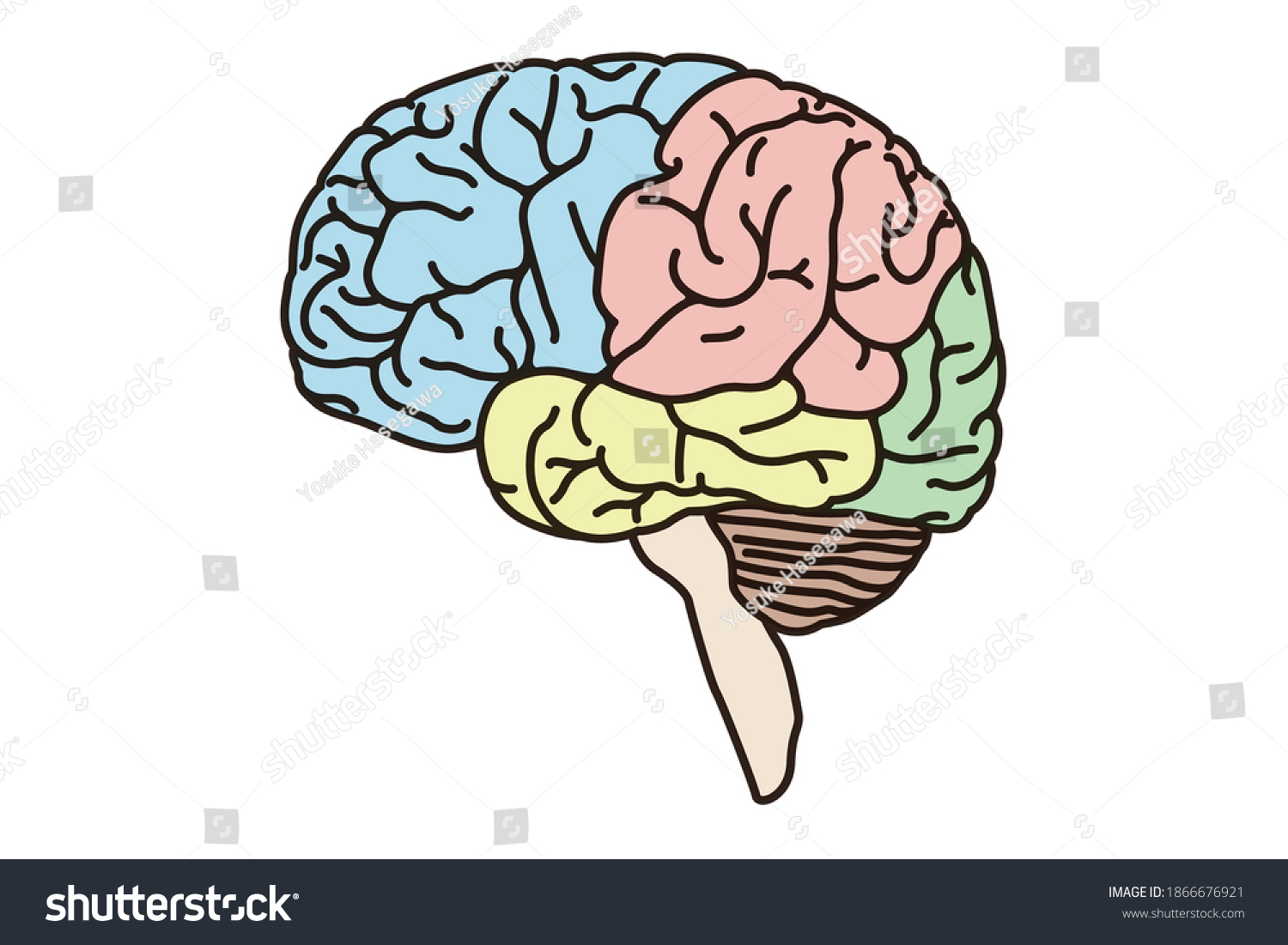 Brain Line Art Vector Illustration Stock Vector (Royalty Free ...