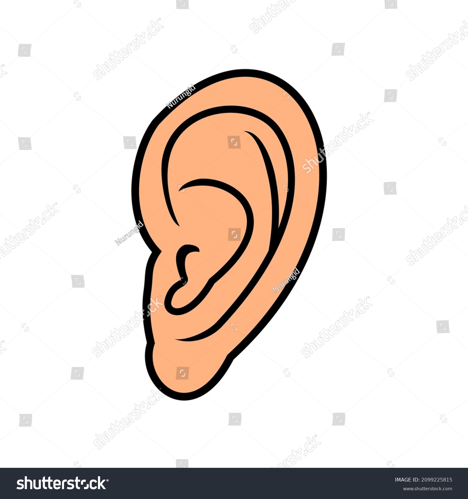Ear Vector Illustration Flat Design Stock Vector (Royalty Free ...