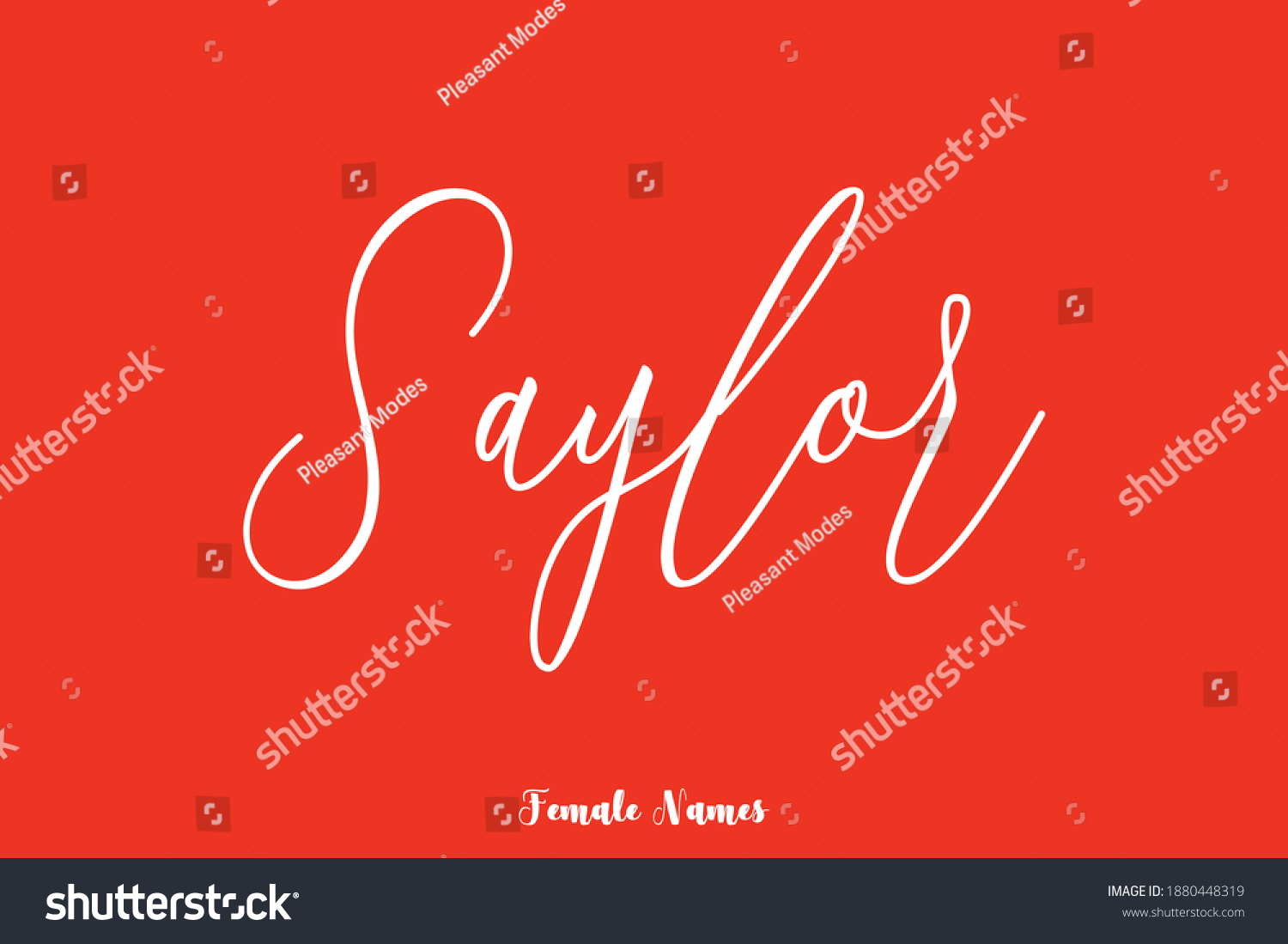 Female Name Typescript Cursive Calligraphy On Stock Vector (Royalty ...