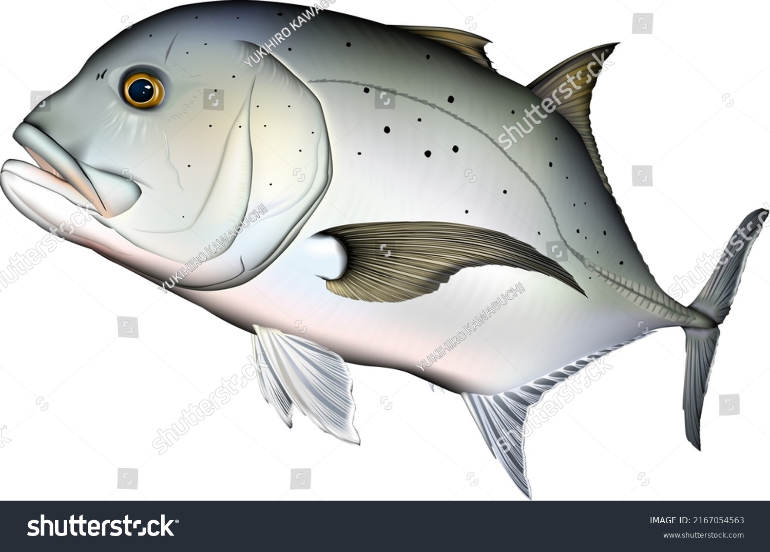 Giant Trevally Illustration Vector Eps Format Stock Vector (Royalty ...