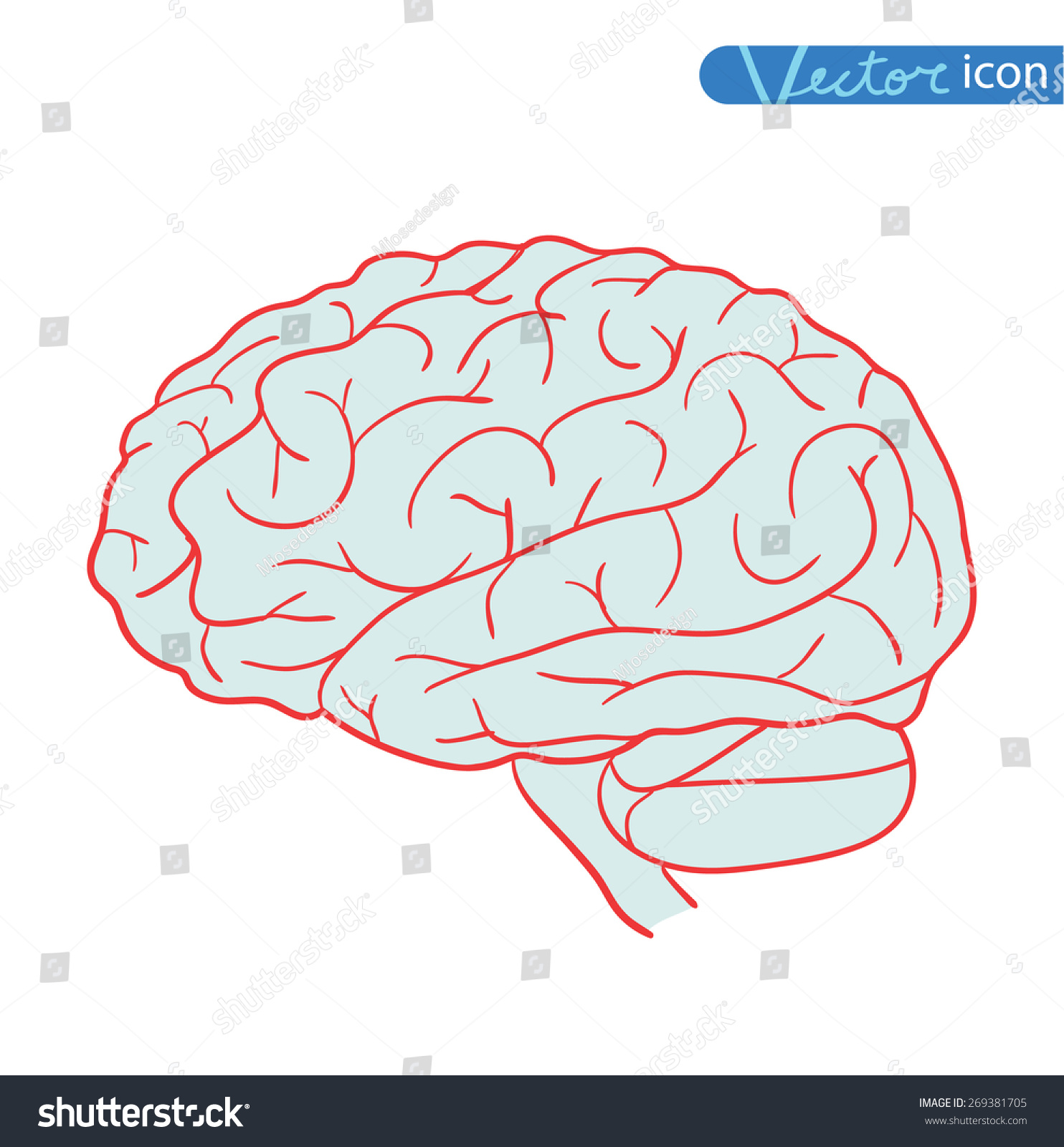 Human Brain Icon Vector Illustration Stock Vector 269381705 - Shutterstock