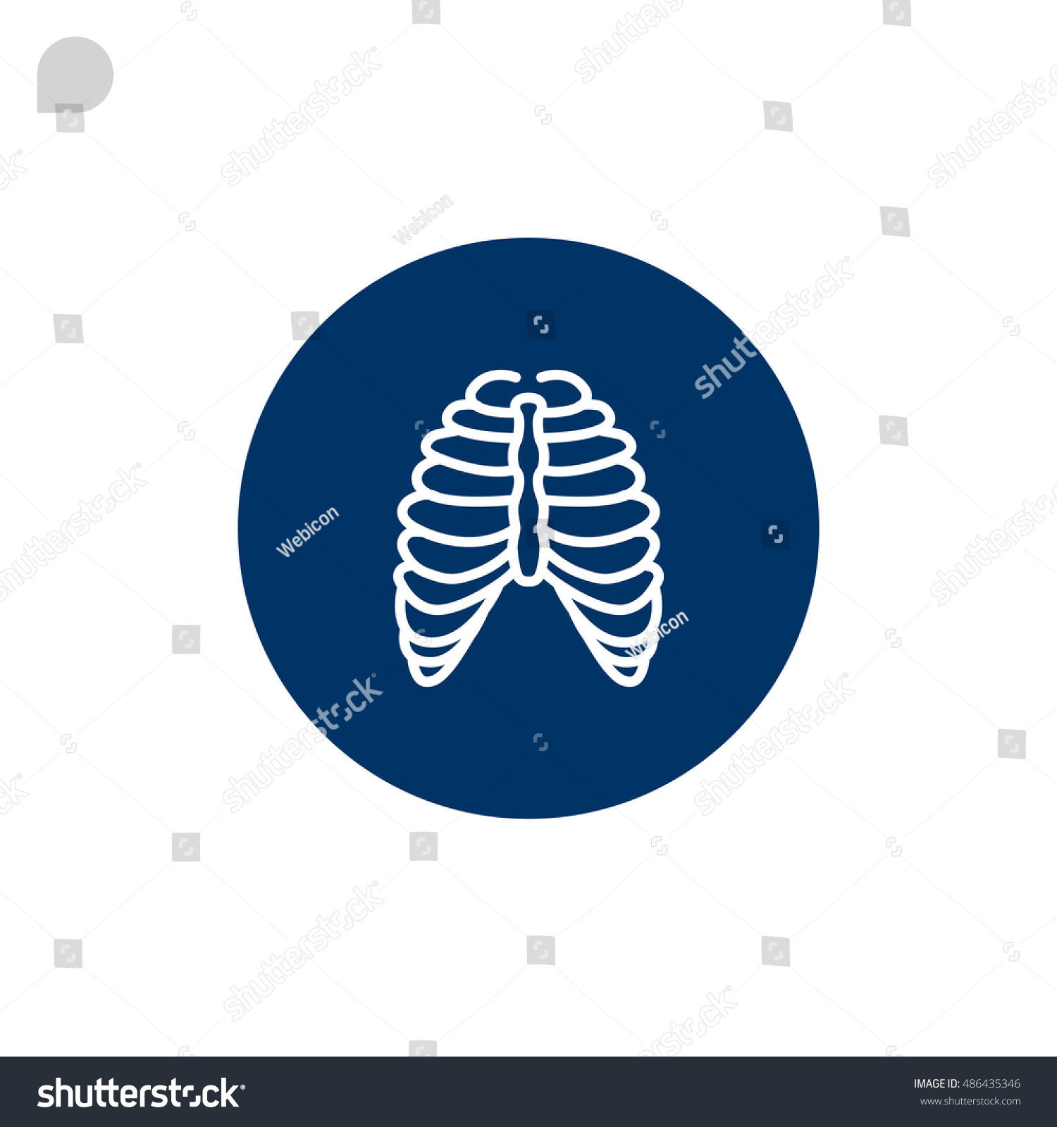 Human Thorax Icon Flat Stock Vector (Royalty Free) 486435346 | Shutterstock