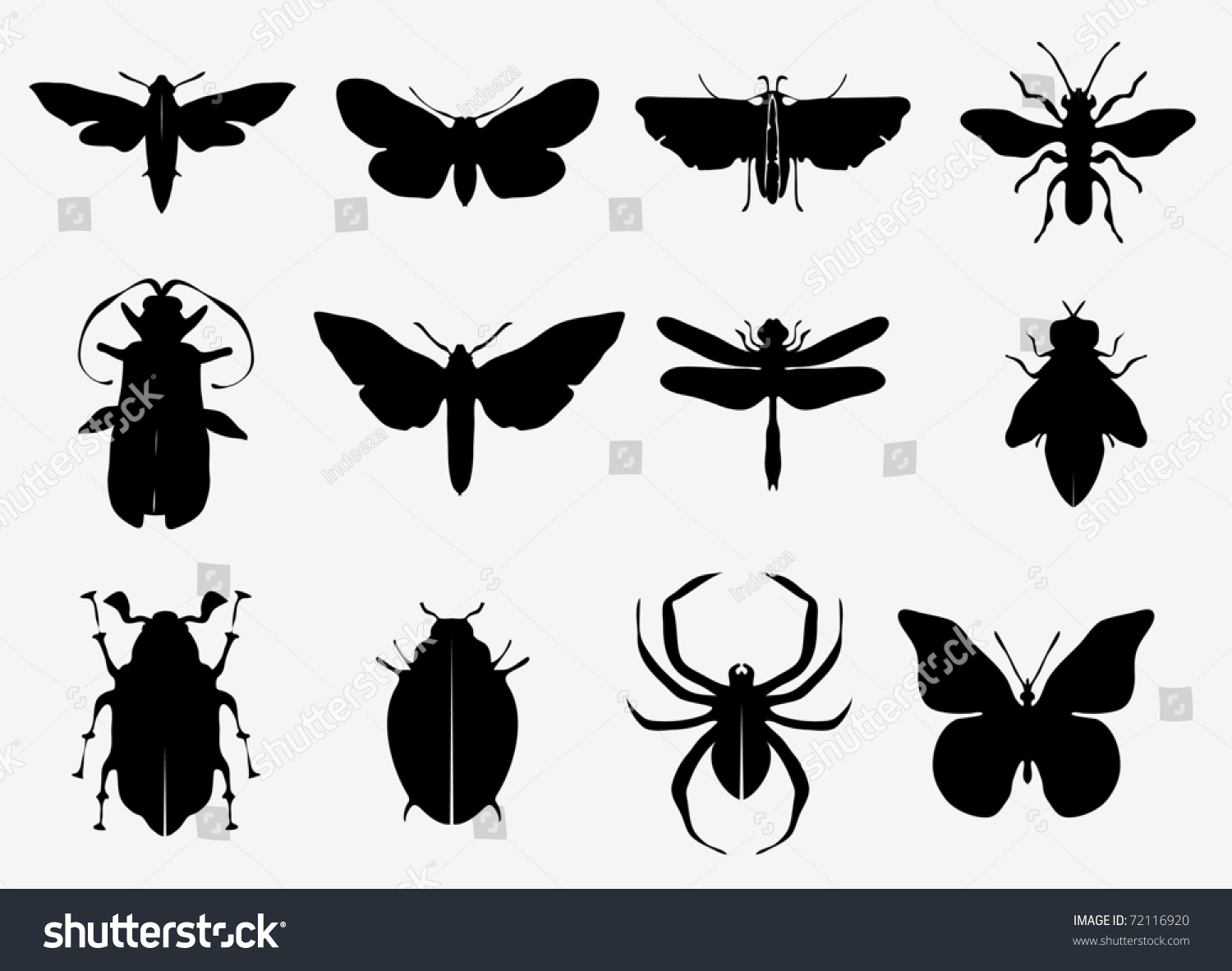 Insect Silhouettes: เวกเตอร์สต็อก (ปลอดค่าลิขสิทธิ์) 72116920