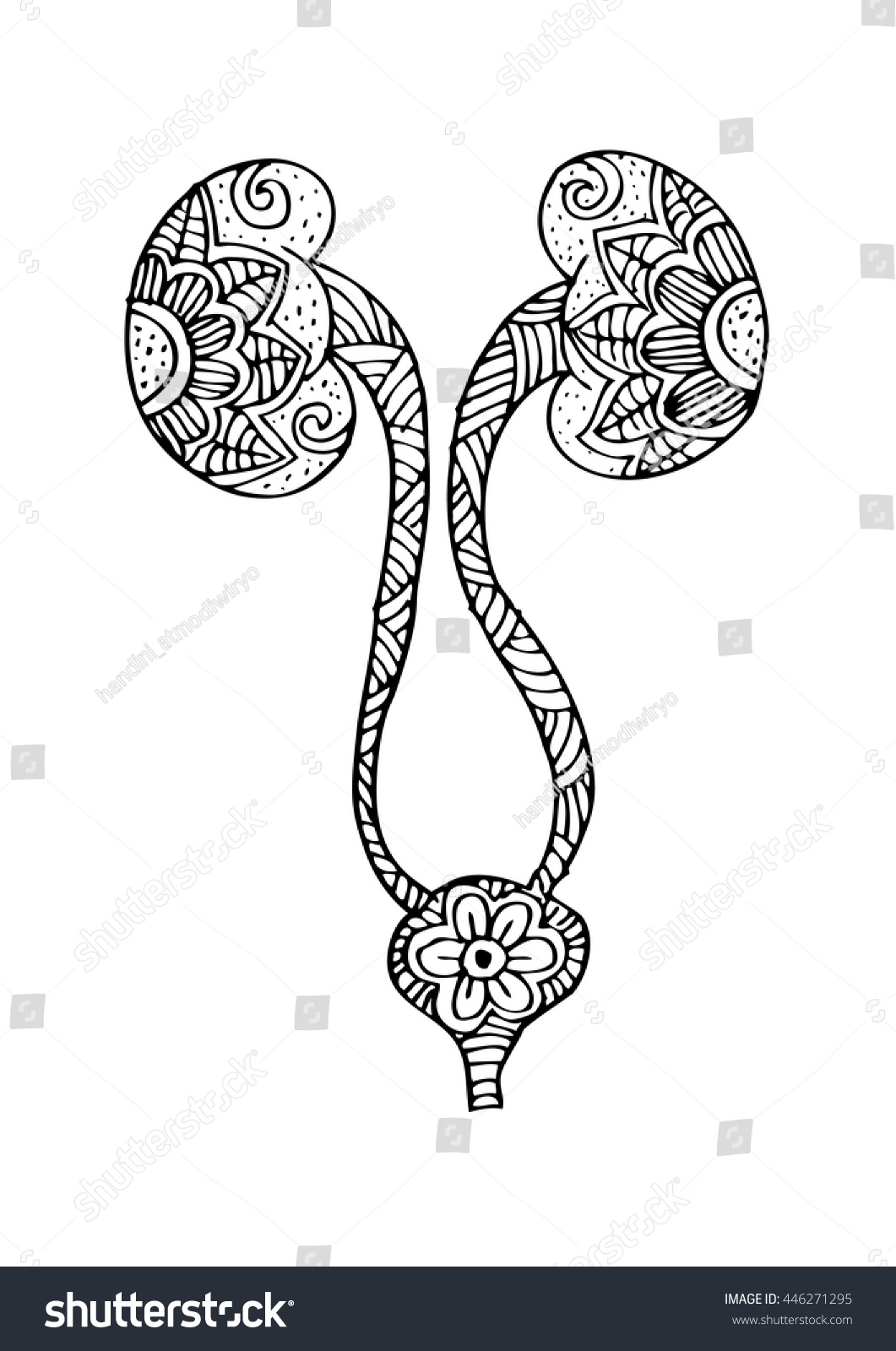 Kidney Urinary Bladder Doodle Style Stock Vector (Royalty Free) 446271295