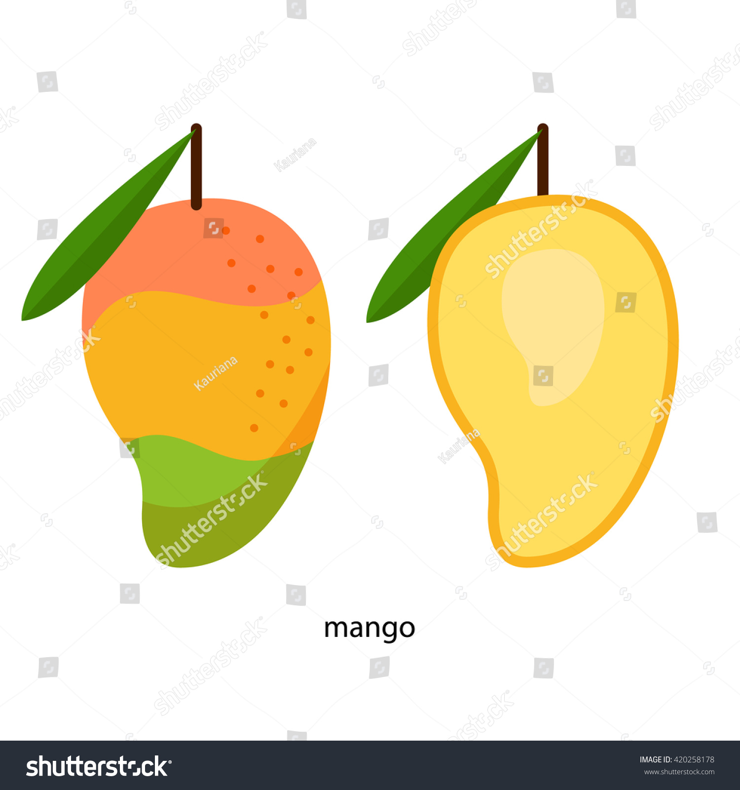 Mango Fruit Green Leaf Crosssection Stock Vector (Royalty Free) 420258178