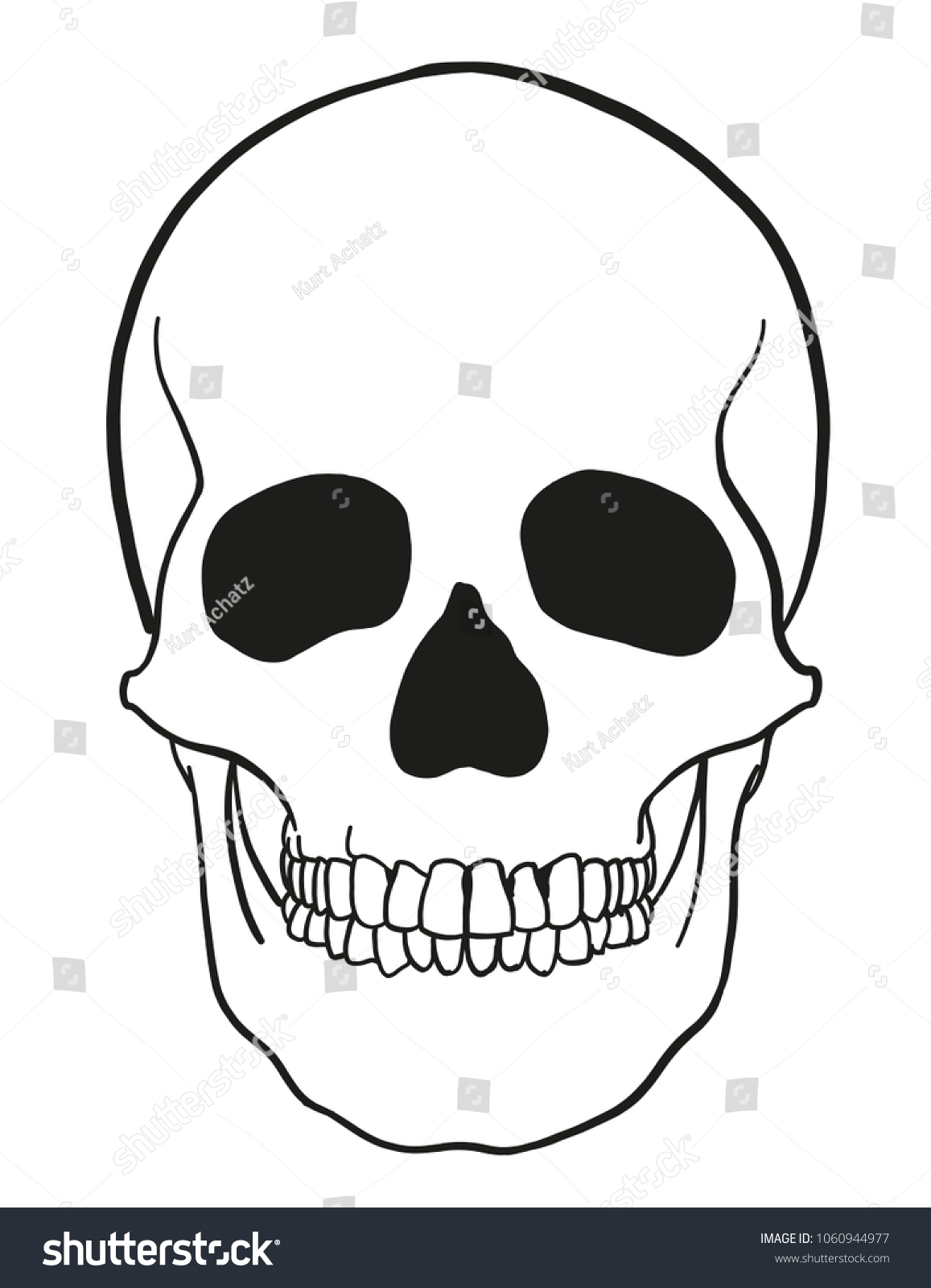 Outline Vector Skull Black Stock Vector (Royalty Free) 1060944977