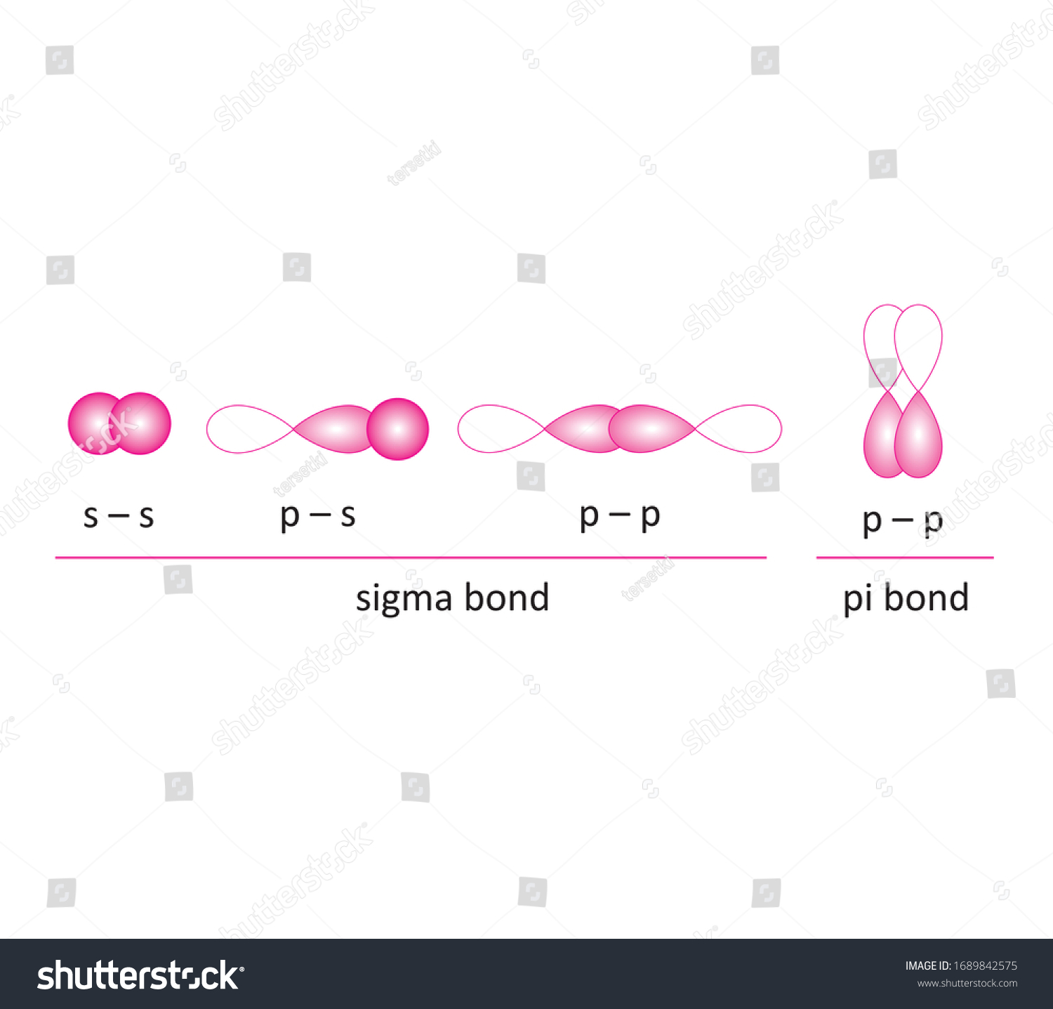 Pi Sigma Bond Vector Stock Vector (Royalty Free) 1689842575 | Shutterstock