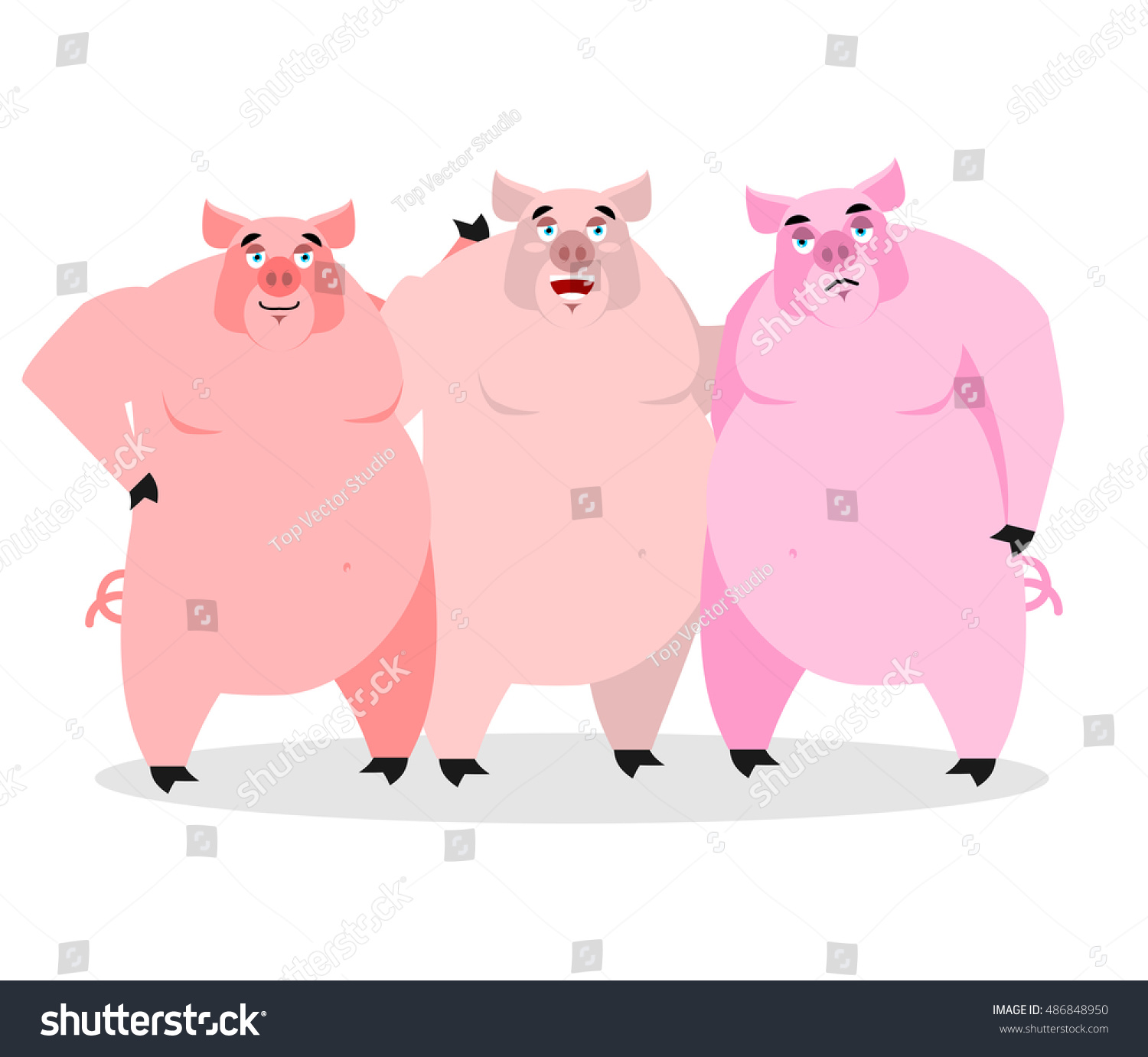 3 Pigs Three Piglets Funny Farm Stock Vector (Royalty Free) 486848950 ...