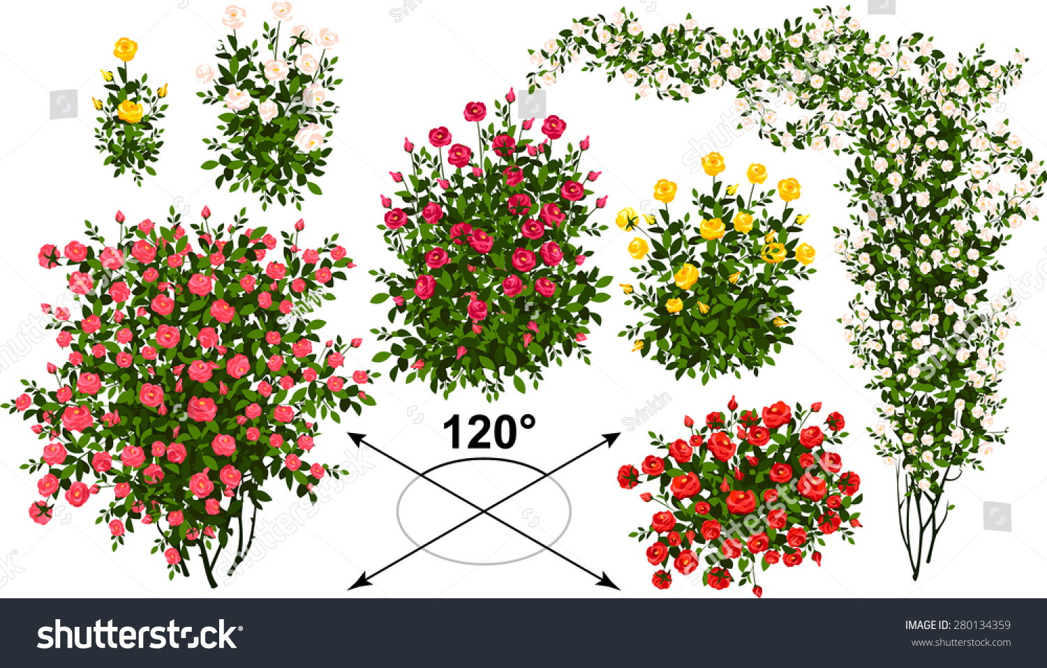 Roses Isometric Trees Vector Stock Vector (Royalty Free) 280134359 ...