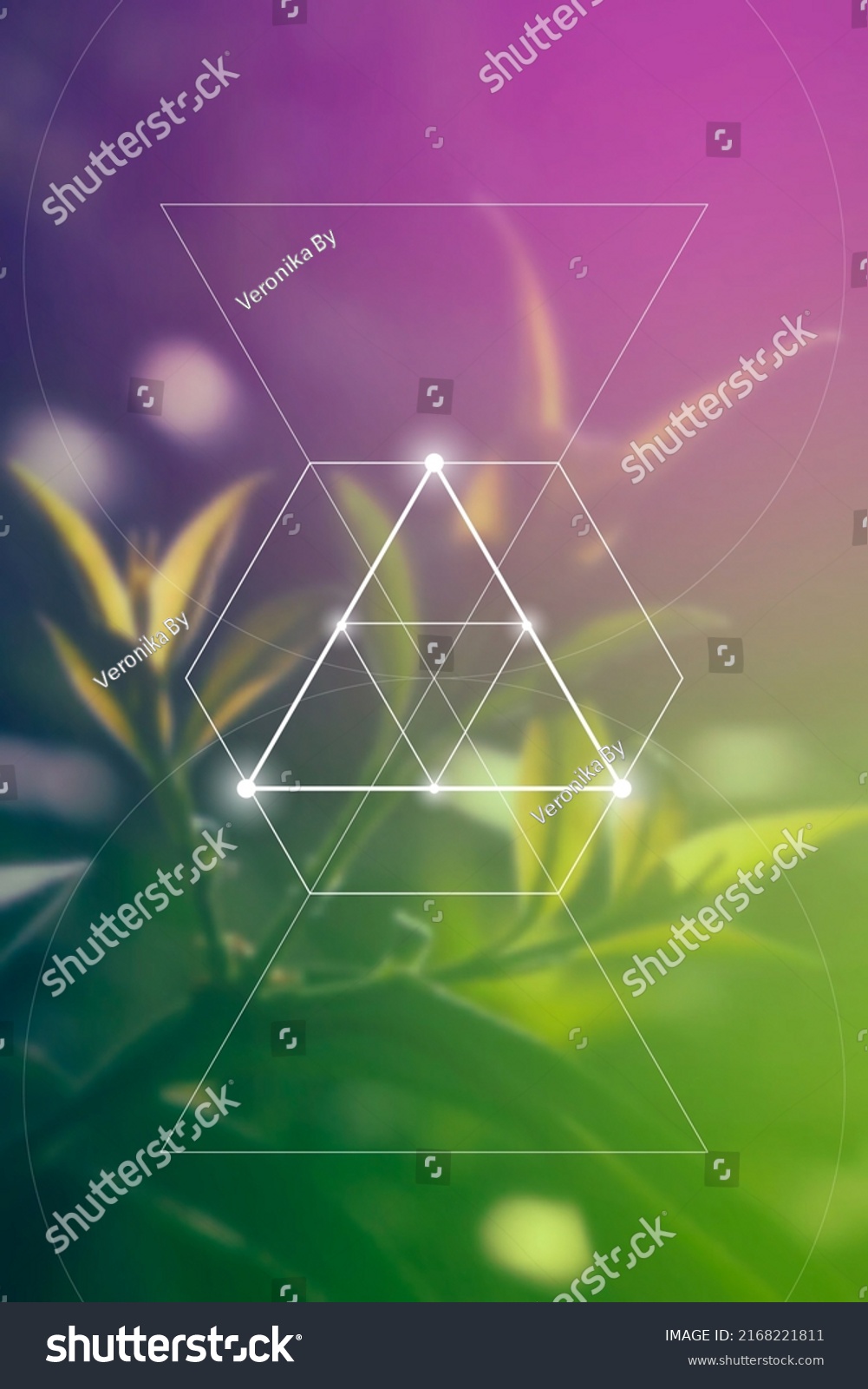 Sacred Geometry Inspired Vector Illustration Interlocking Stock Vector ...