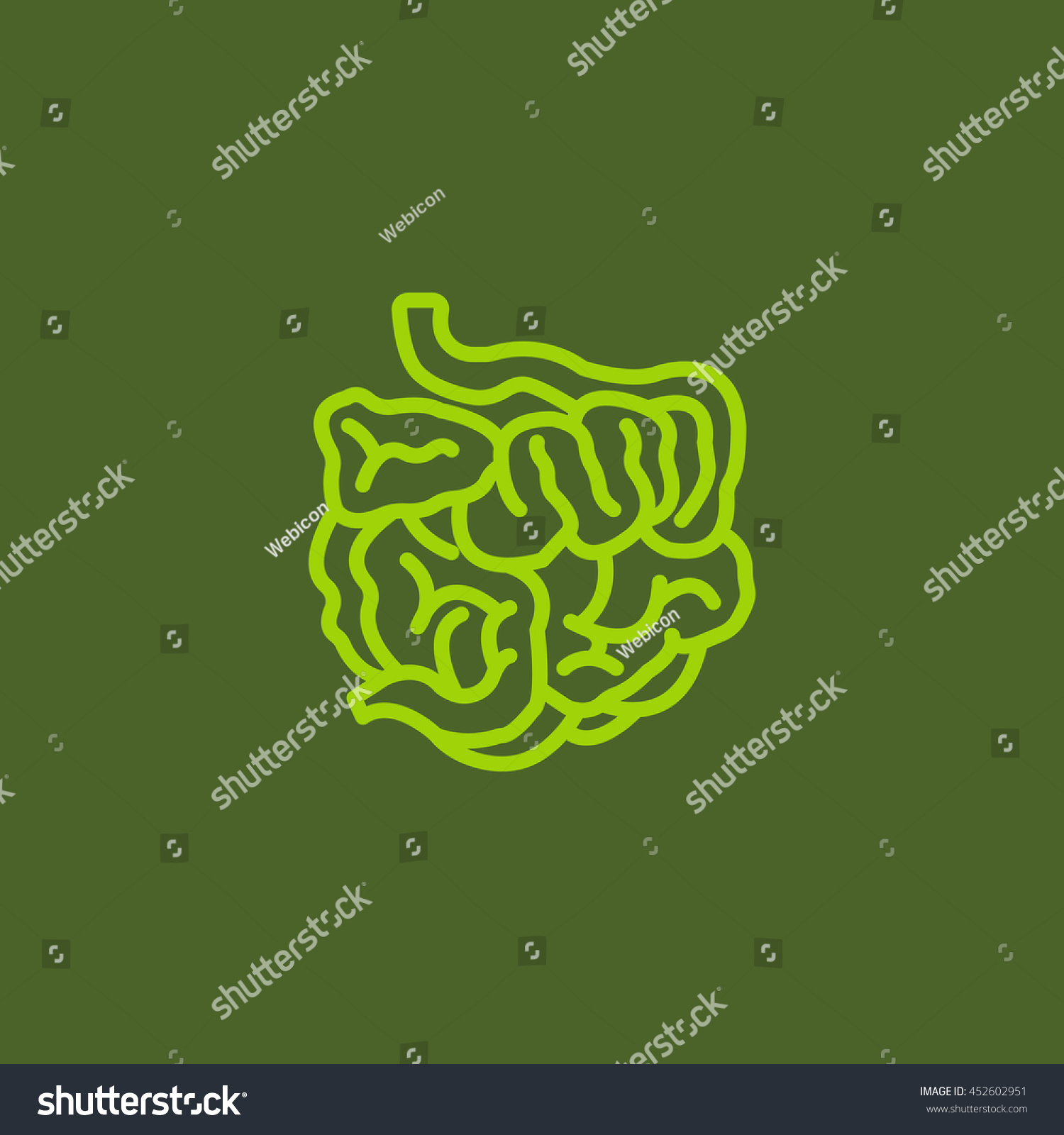Small Intestine Icon Vector Stock Vector (Royalty Free) 452602951 ...
