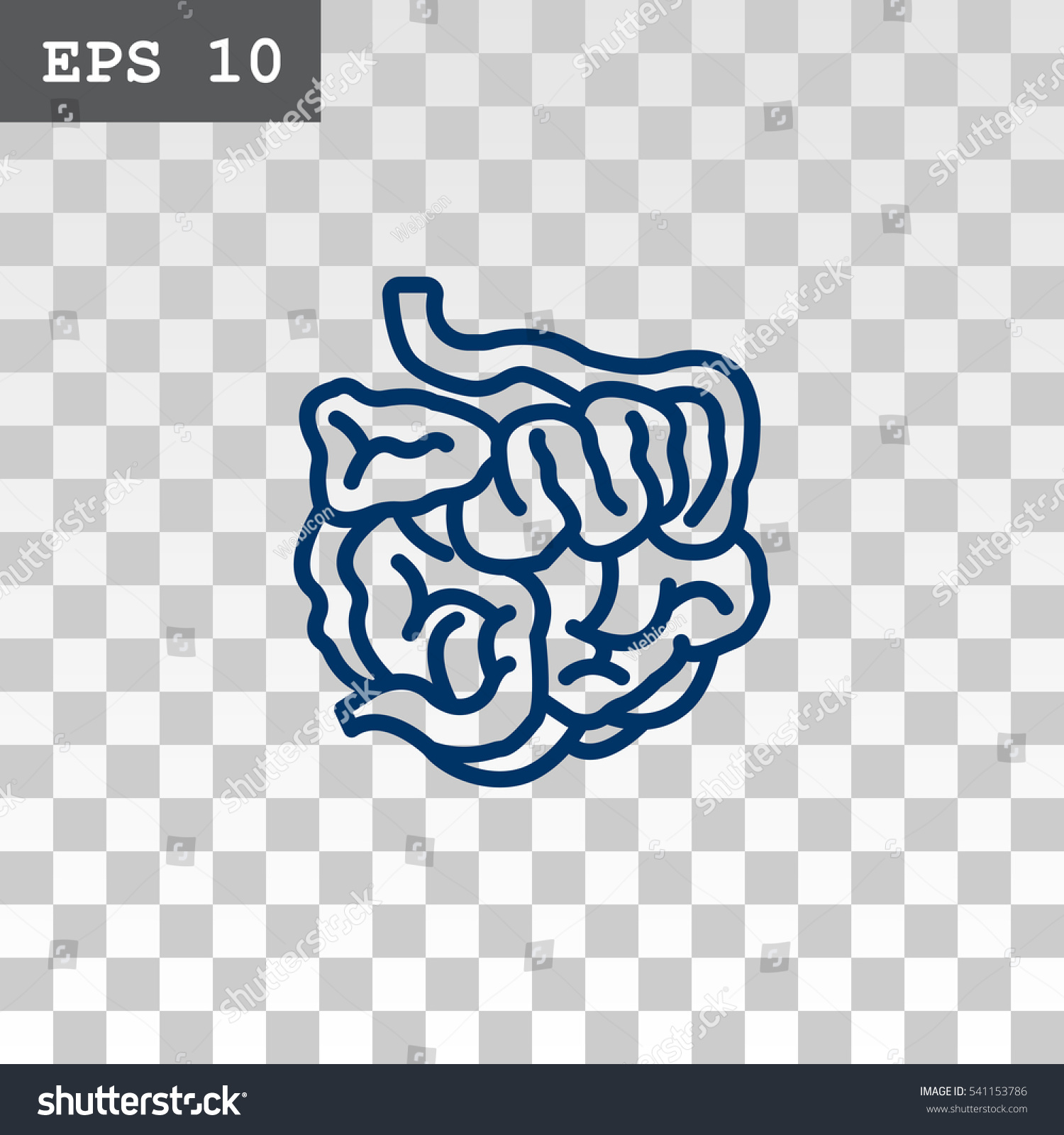 Small Intestine Icon Vector: vector de stock (libre de regalías ...