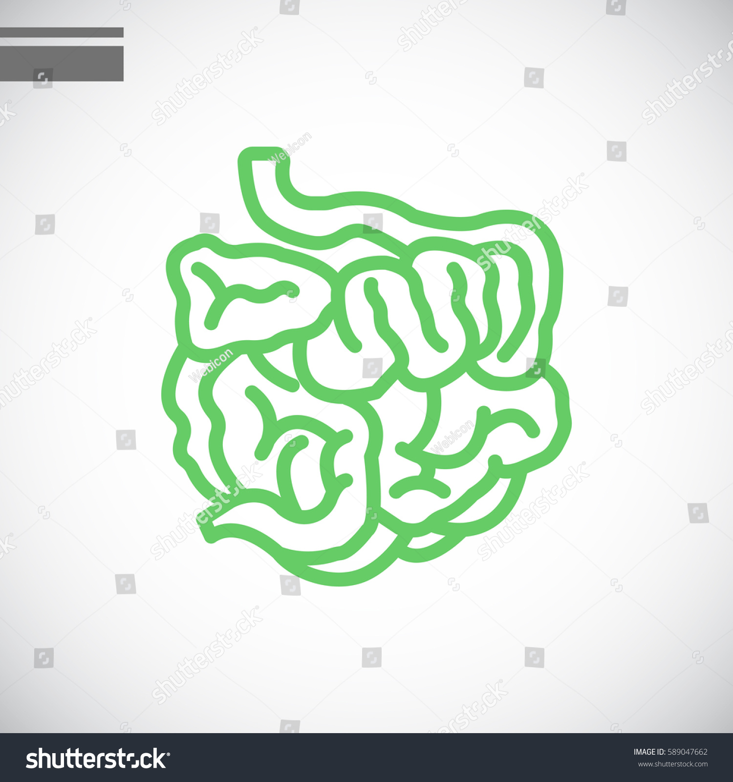 Small Intestine Icon Vector Stock Vector (Royalty Free) 589047662 ...