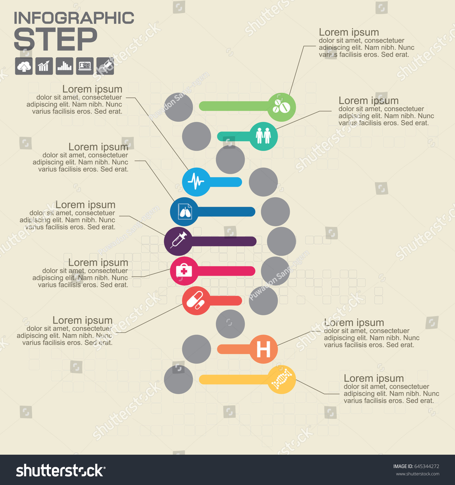 9 Steps Infographic Dna Elements Process Stock Vector (Royalty Free ...