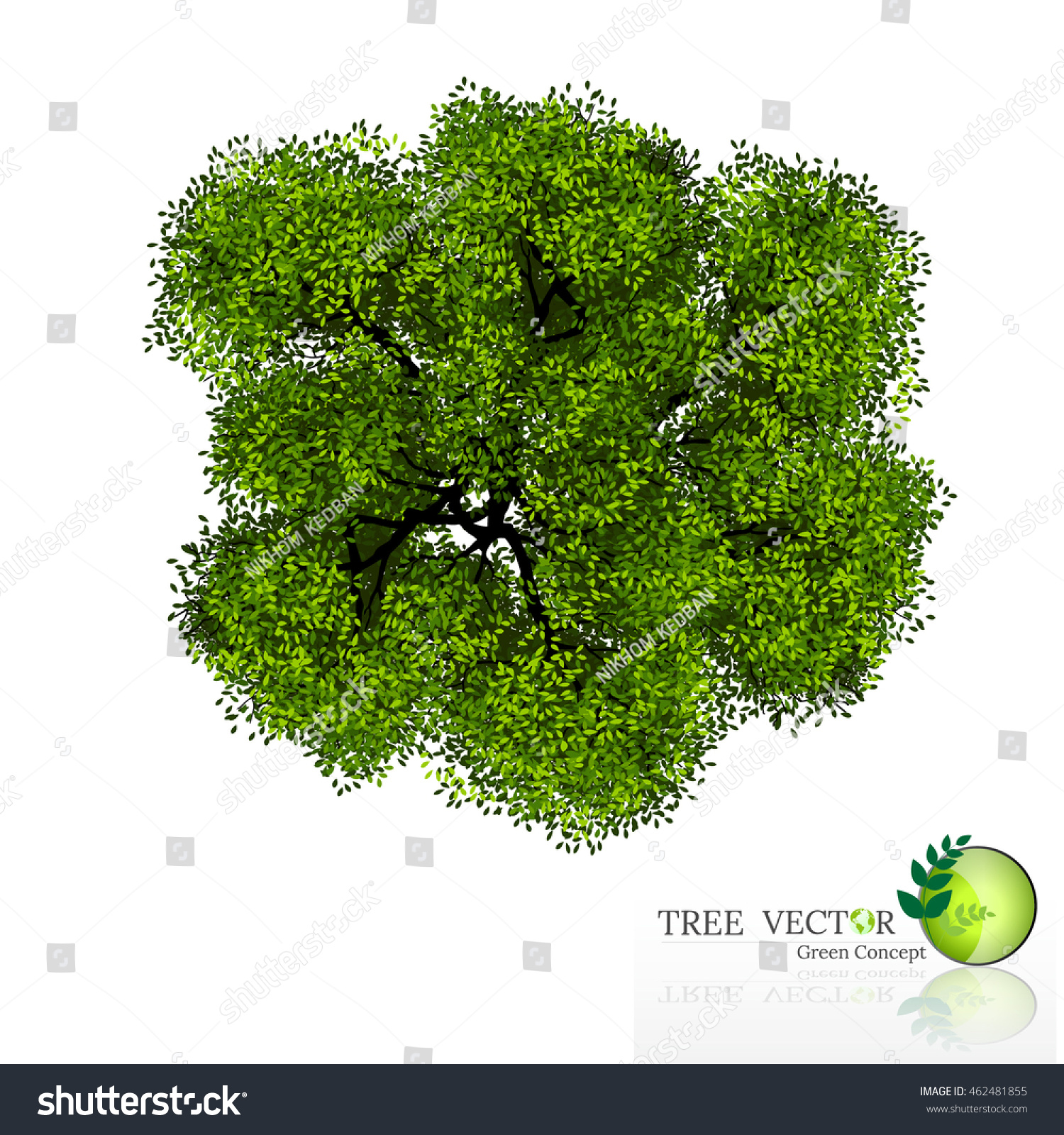 Tree Top View Realistic Stock Vector (Royalty Free) 462481855