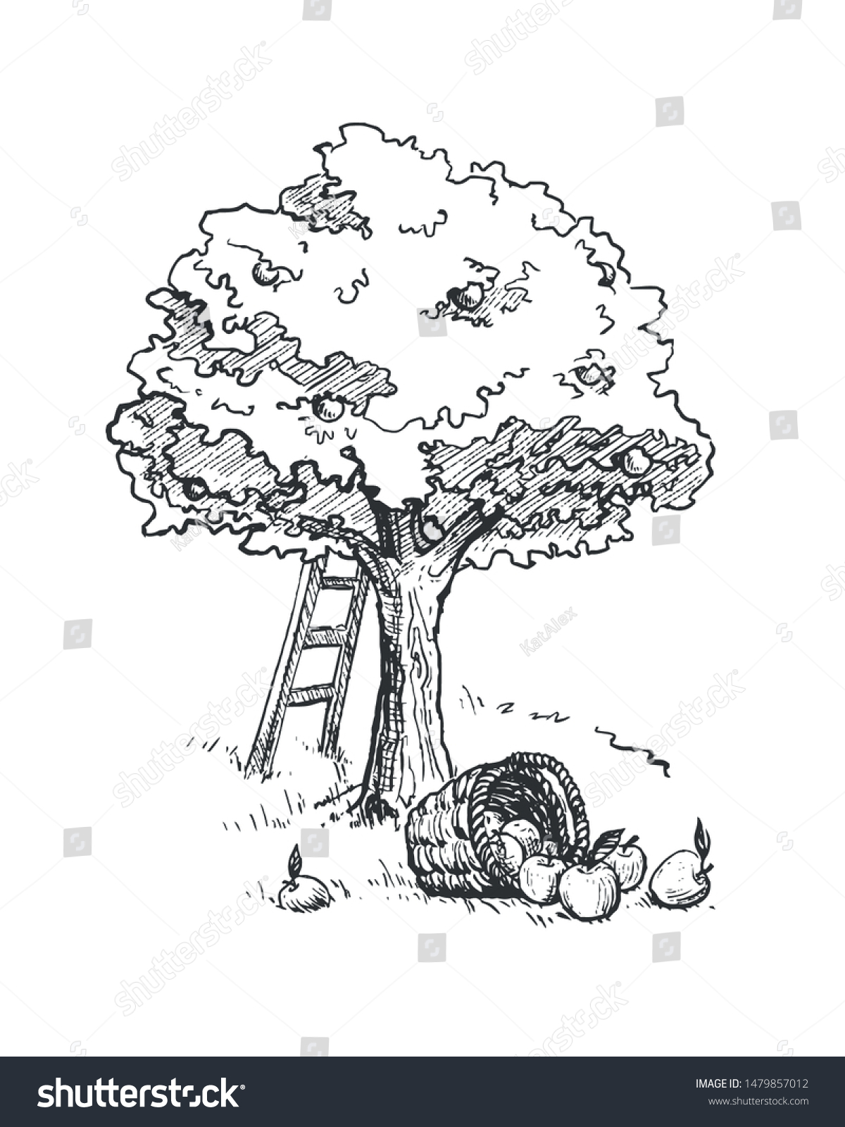 Vector Apple Tree Illustration Sketch Drawing Stock Vector (Royalty ...