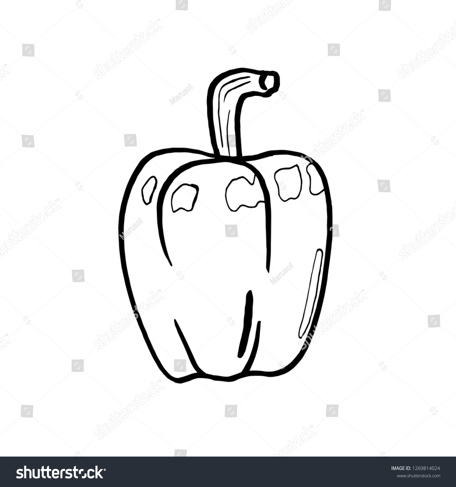 Vector Drawing Sketch Pepper Kitchen Cooking Stock Vector (Royalty Free ...
