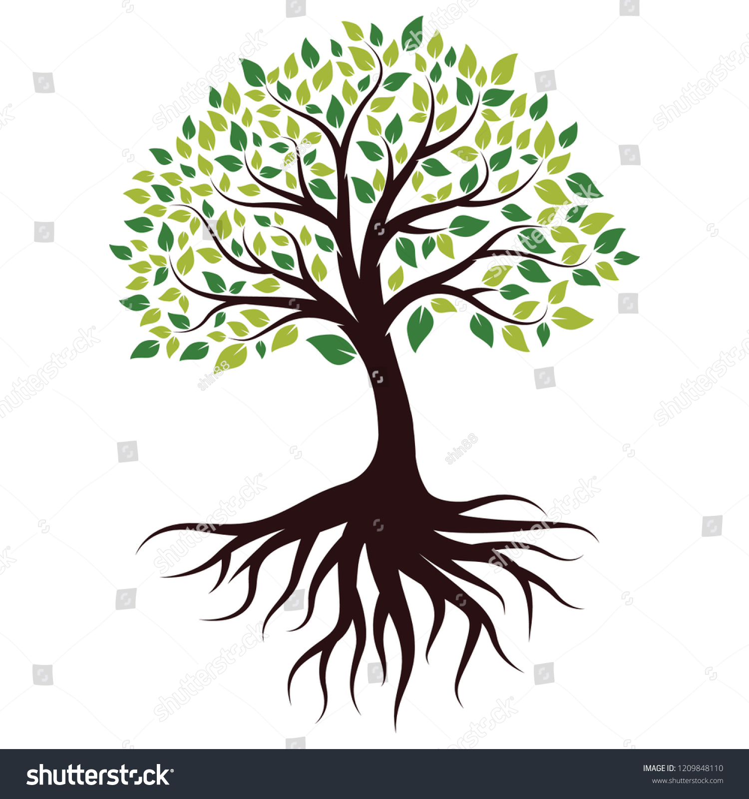 Vector Illustration Green Tree Roots Stock Vector (Royalty Free ...