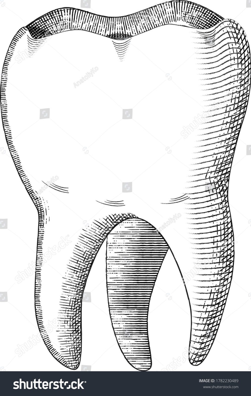 46,435 Vintage teeth illustration Images, Stock Photos & Vectors ...