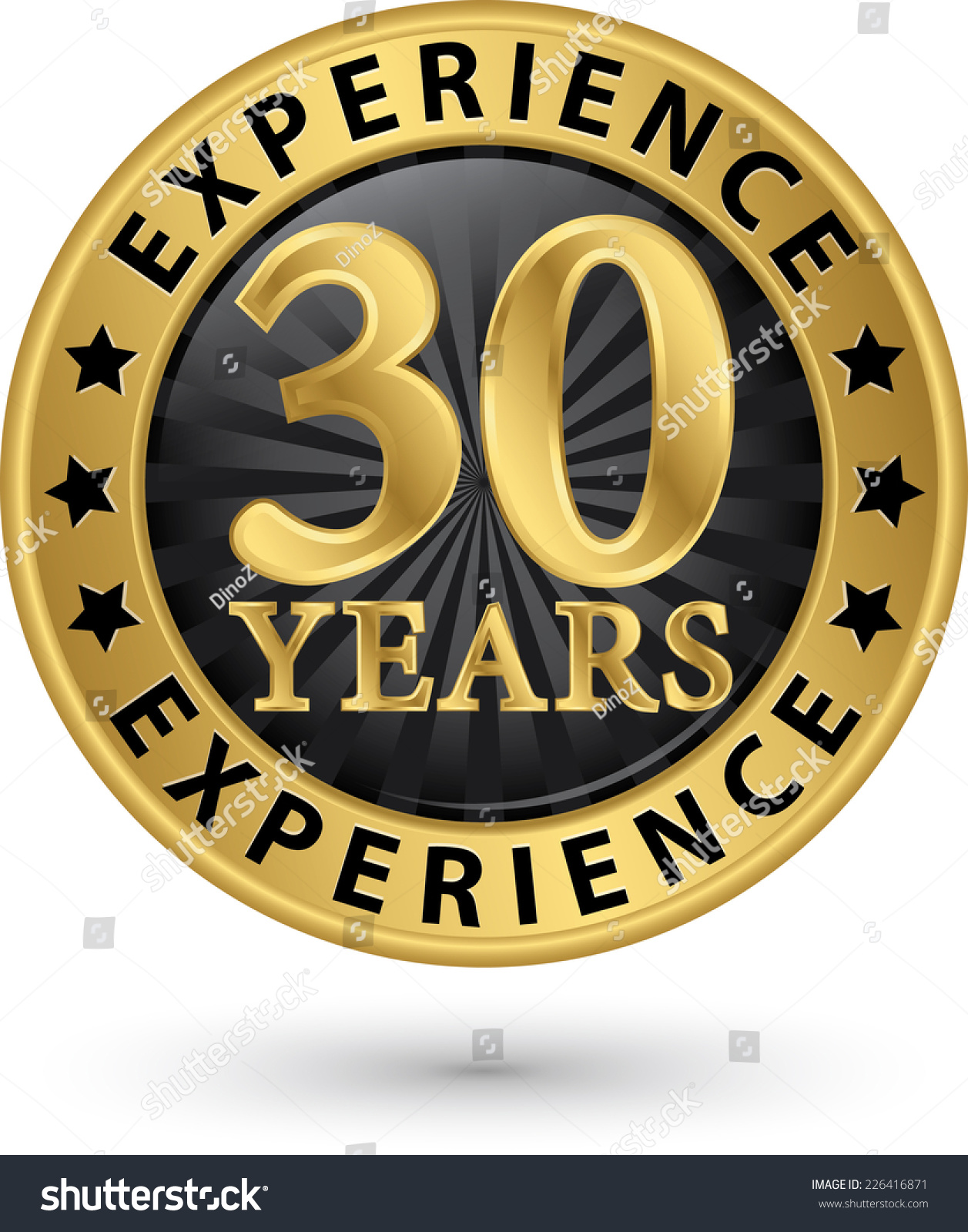 30 Years Experience Gold Label Vector Stock Vector (Royalty Free) 226416871