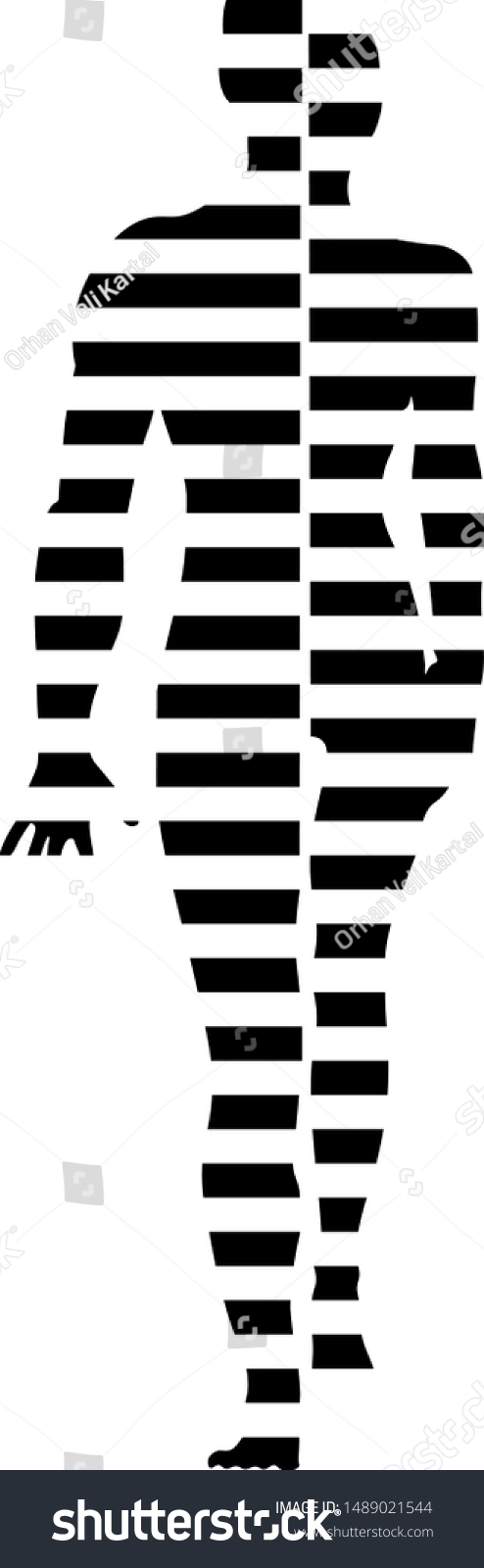 Basic Man Woman Figure Stock Vector (Royalty Free) 1489021544 ...
