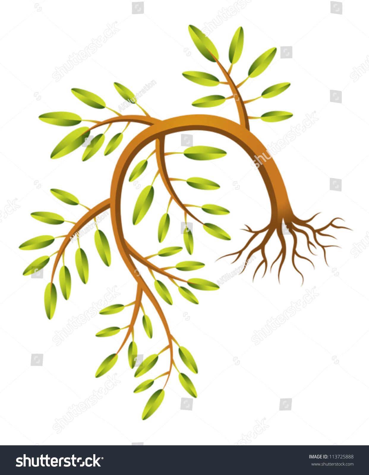 Drooping Sapling Illustration Eps 10 Vector Stock Vector (Royalty Free) 113725888 | Shutterstock