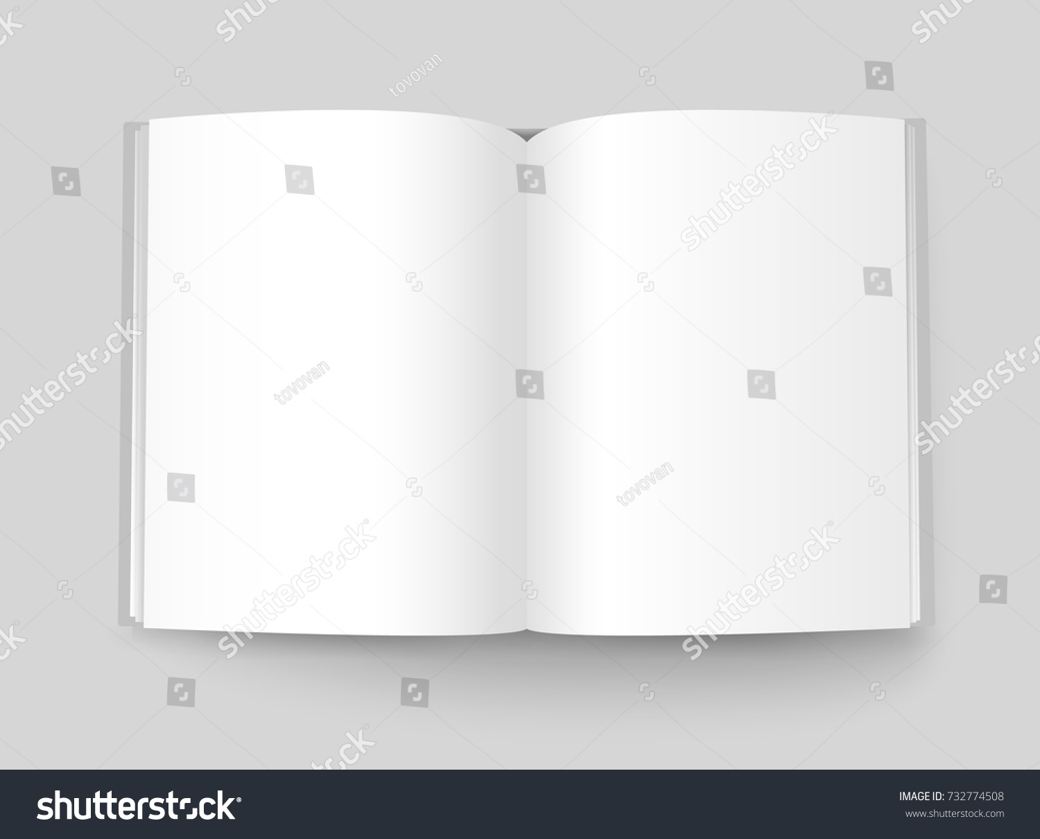 A4 Format Book Vector Mockup Open Stock Vector (Royalty Free) 732774508