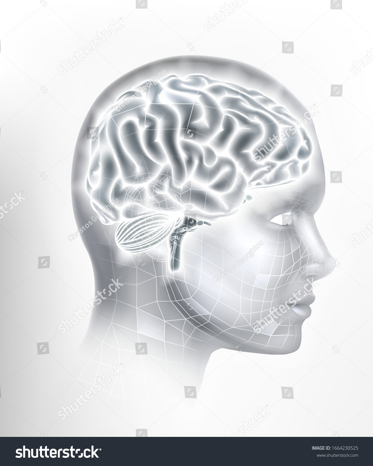 Human Brain Ai Head Face Artificial Stock Vector (Royalty Free) 1664230525