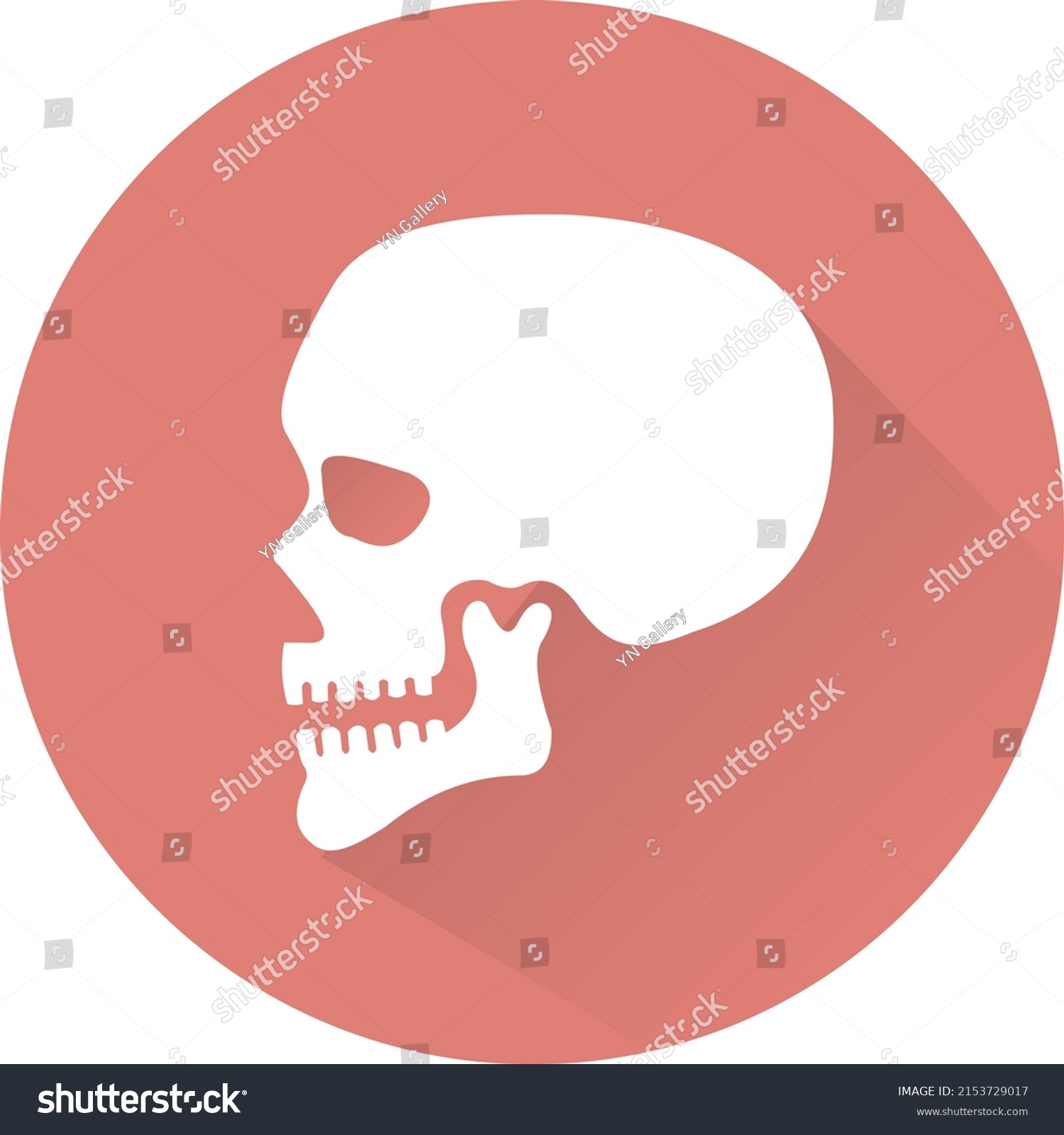 Human Skull Side View Circle Stock Vector (Royalty Free) 2153729017 ...