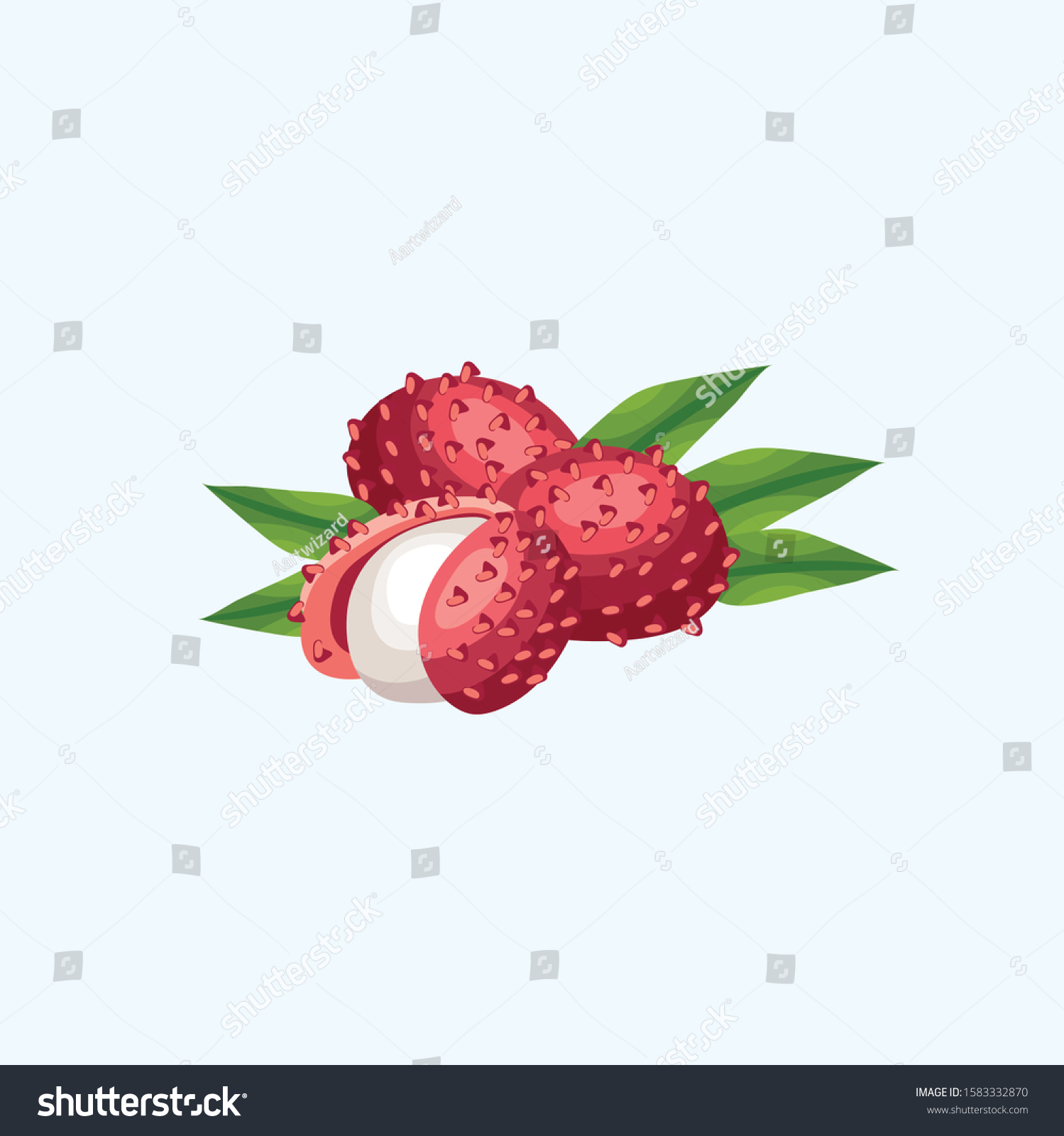 Litchi Fruit Vector Isolated Stock Vector (Royalty Free) 1583332870 ...