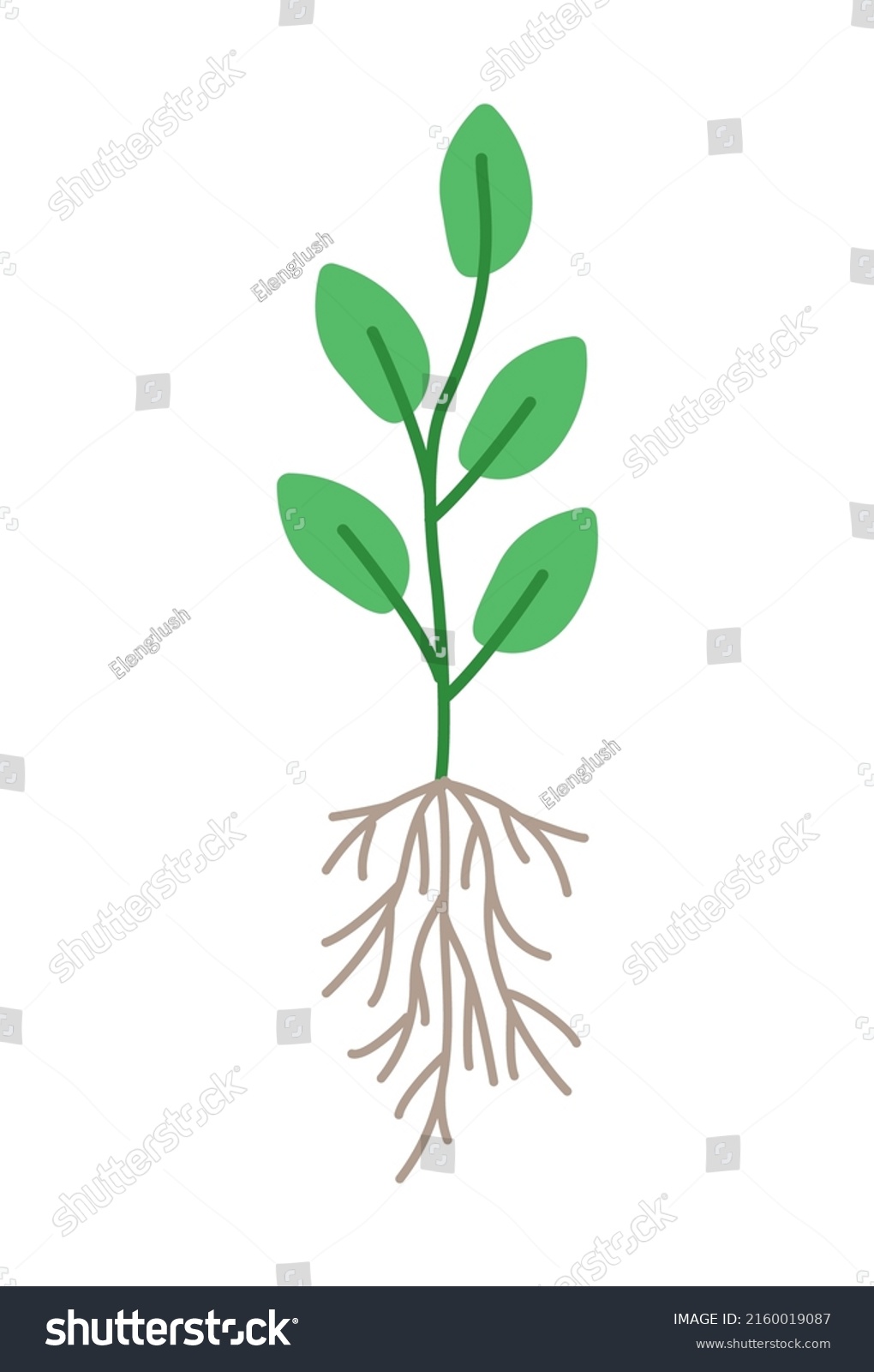 Plant Root System Vector Illustration Doodle Stock Vector (Royalty Free ...