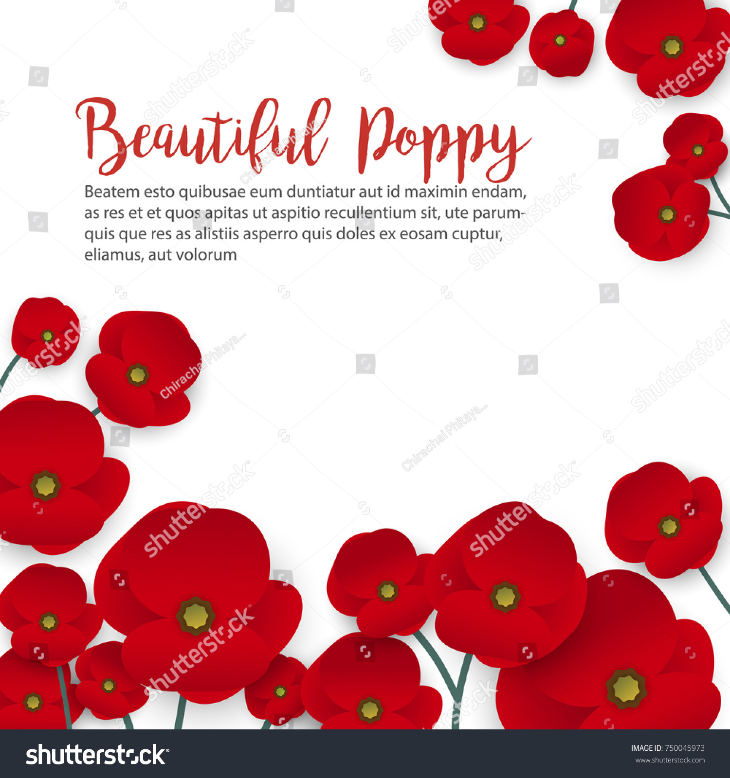 Poppy Flower Vector Stock Vector (Royalty Free) 750045973